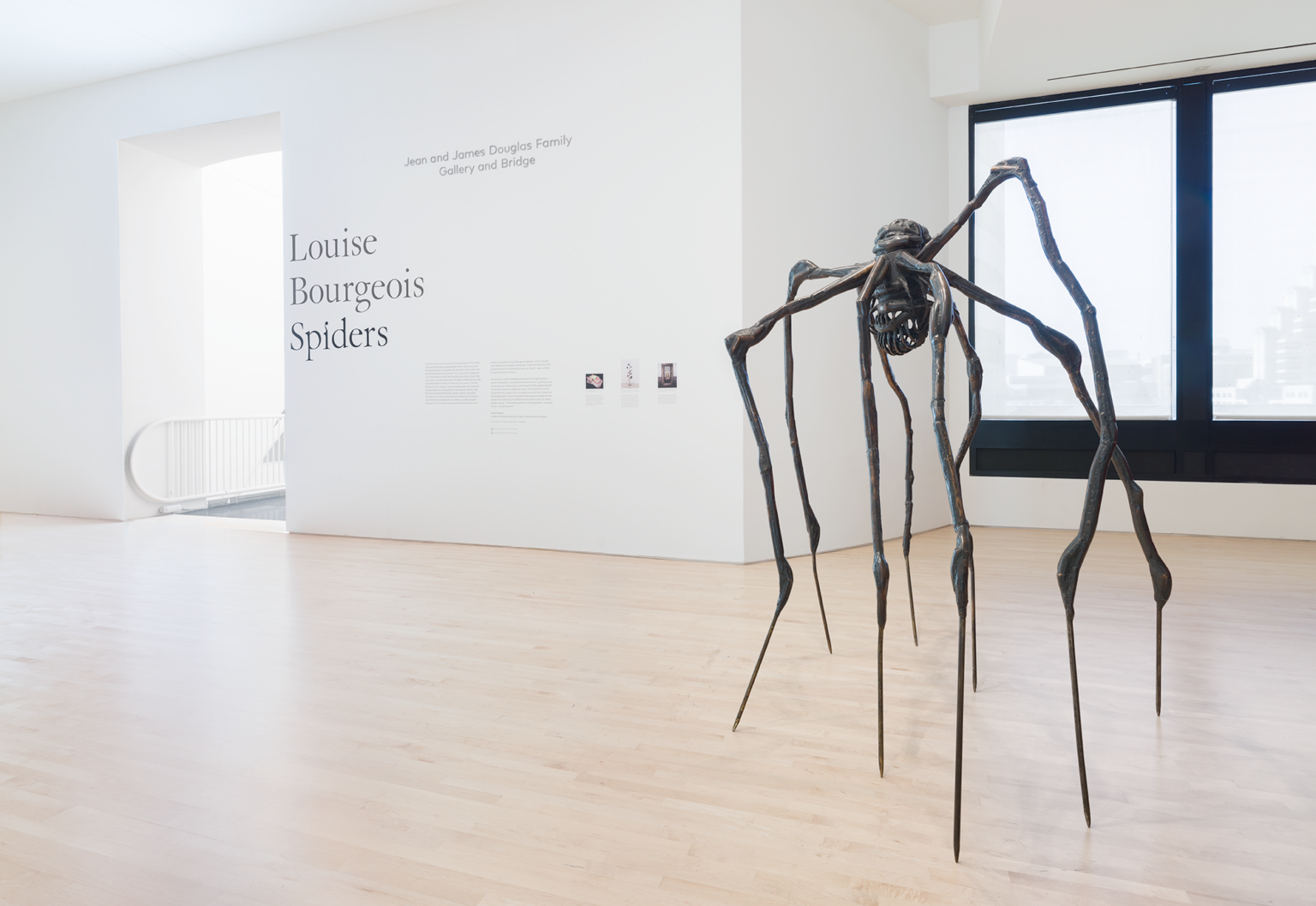 Louise Bourgeois Spiders · SFMOMA