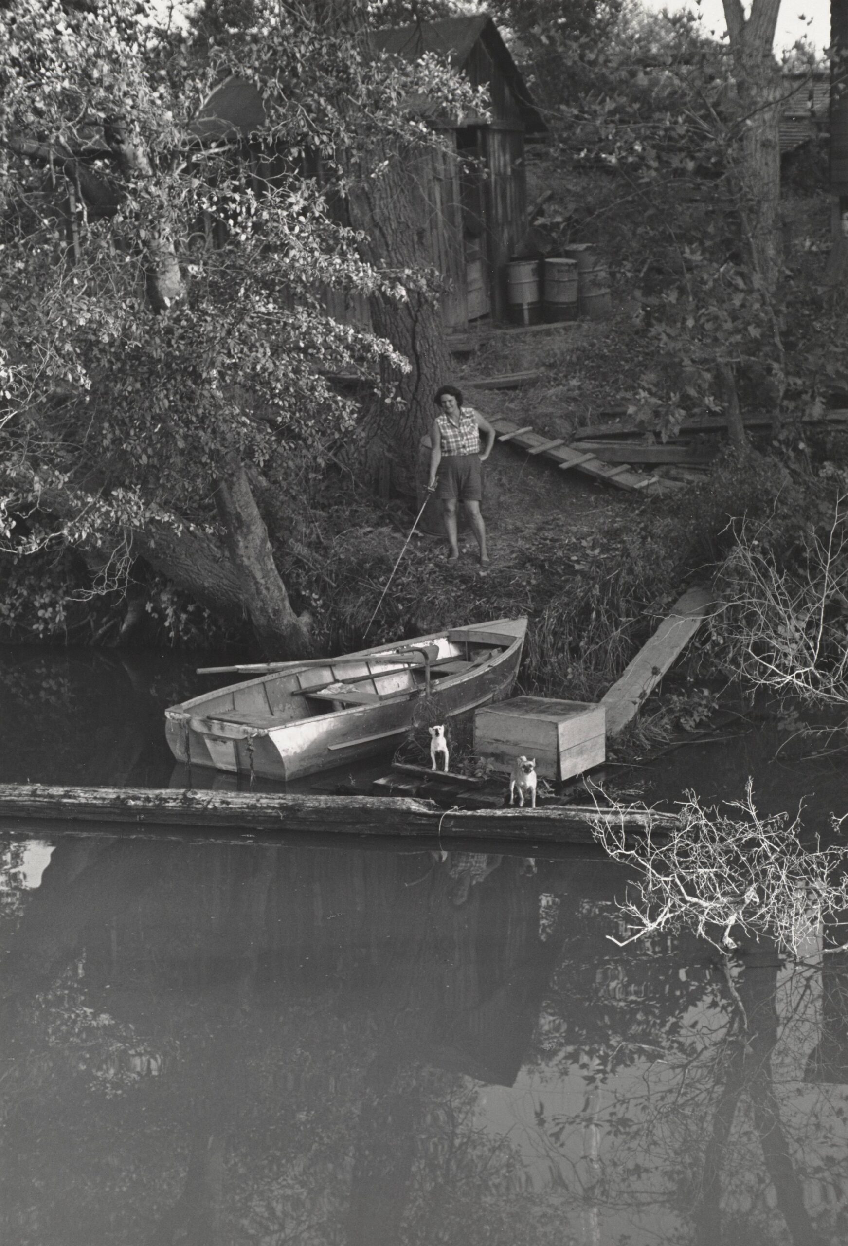 Ruth-Marion Baruch, Walnut Grove, 1961 · SFMOMA