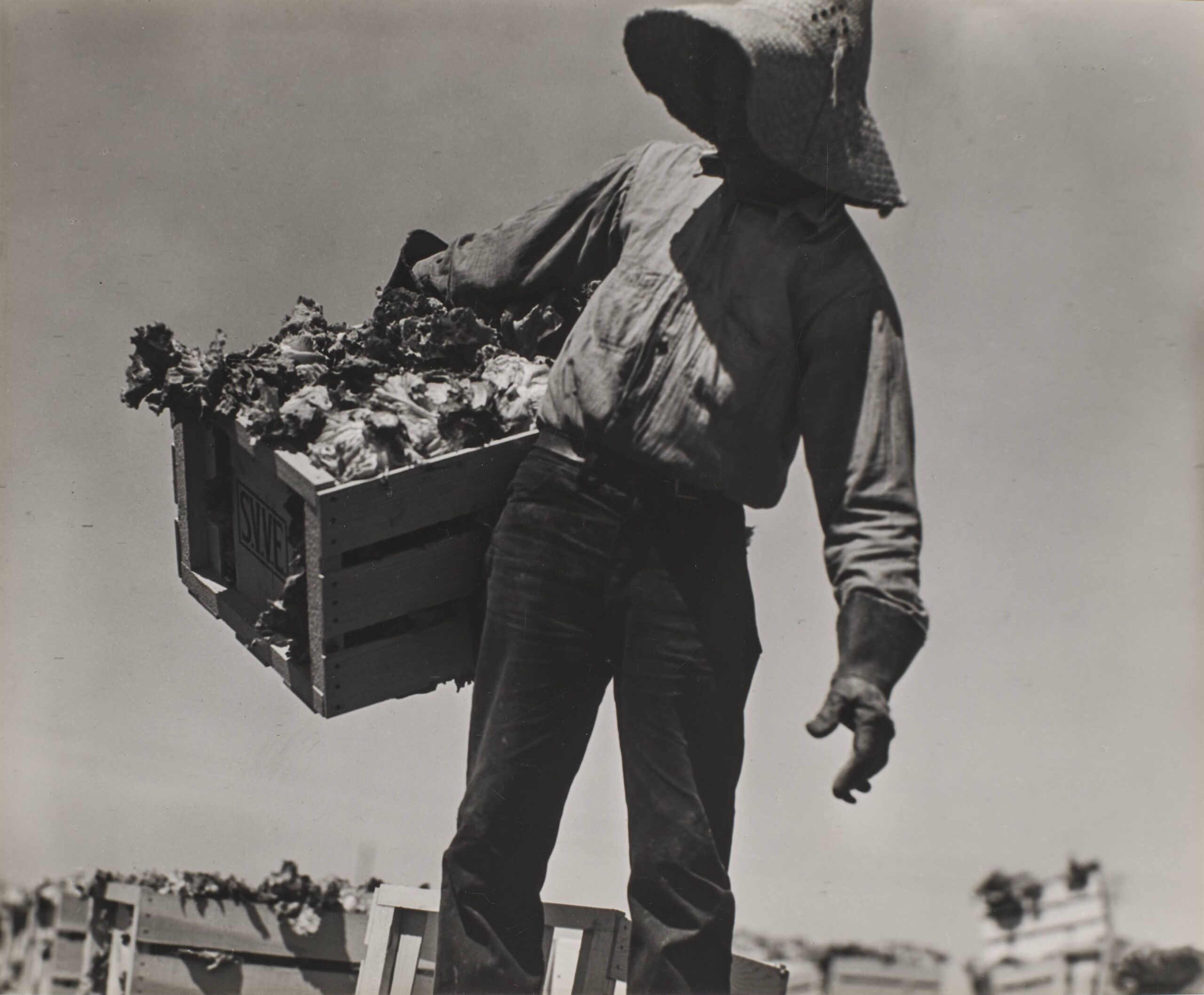 Sibyl Anikeef, Filipino Lettuce Workers, 1936 · SFMOMA