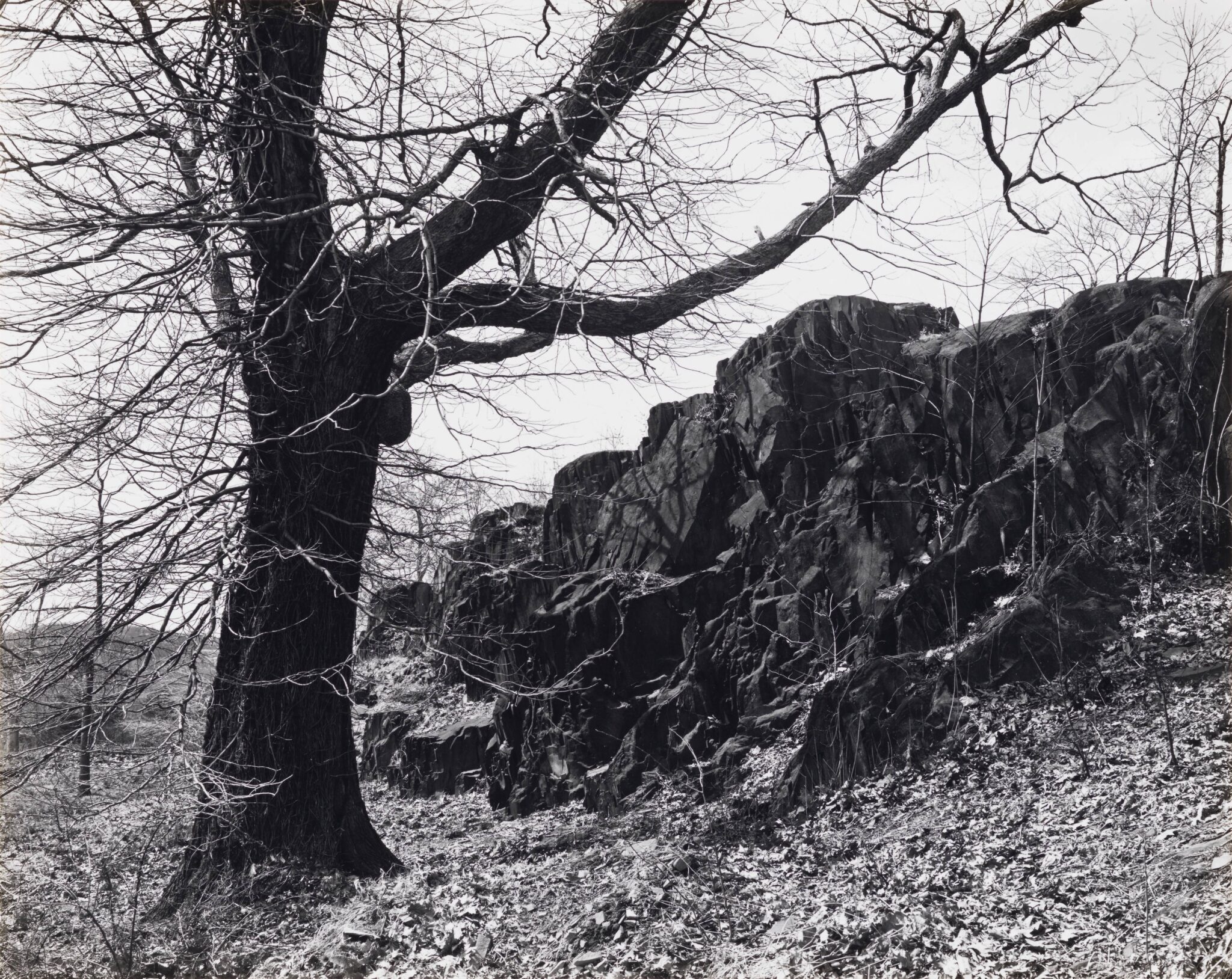 George A. Tice, West Street Bridge, February, 1968, from the portfolio ...