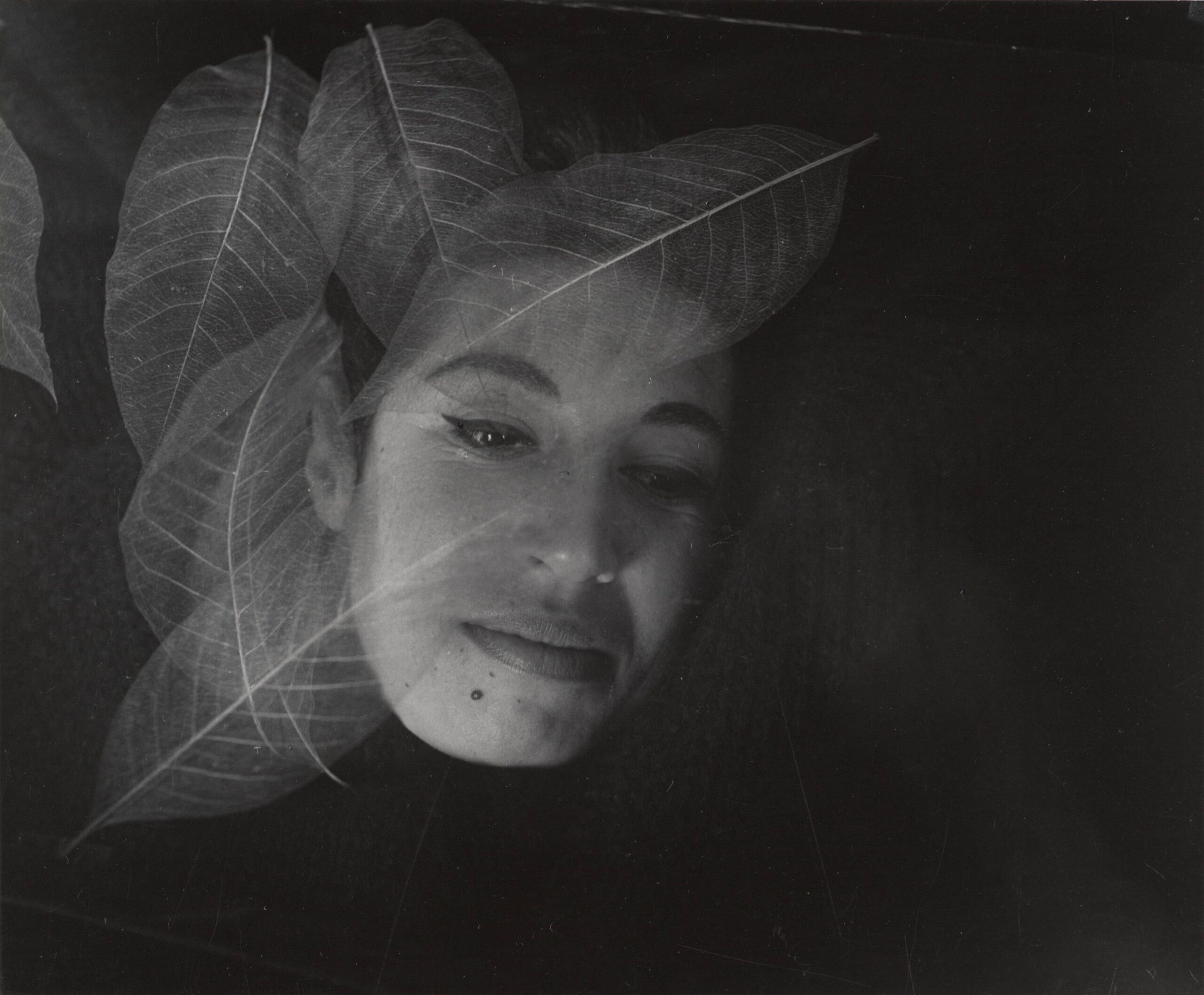 Imogen Cunningham, Leaves from Taiwan, 1963 · SFMOMA
