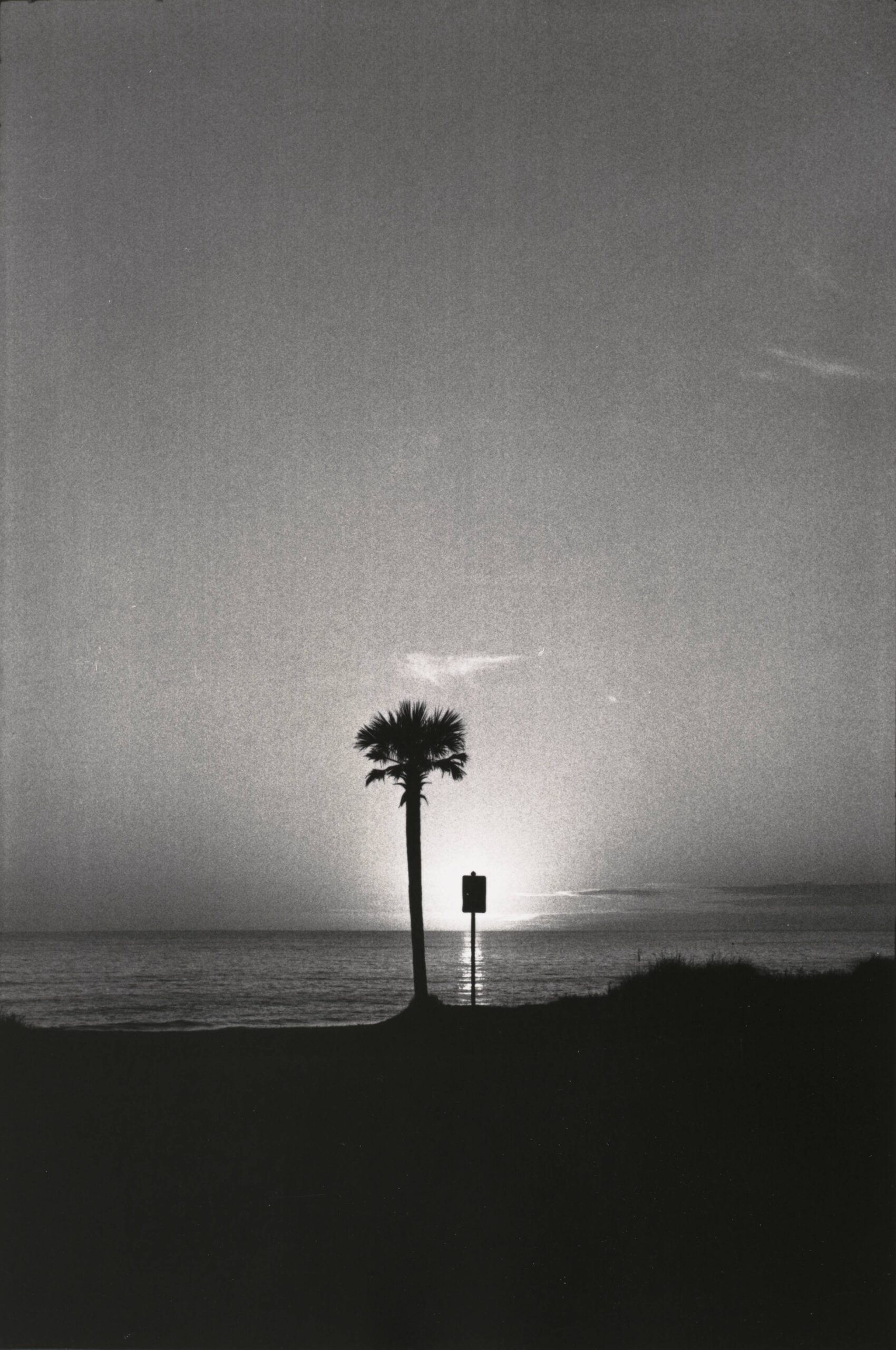 Elliott Erwitt, Panama City, Florida, 1974; ca. 1979 · SFMOMA