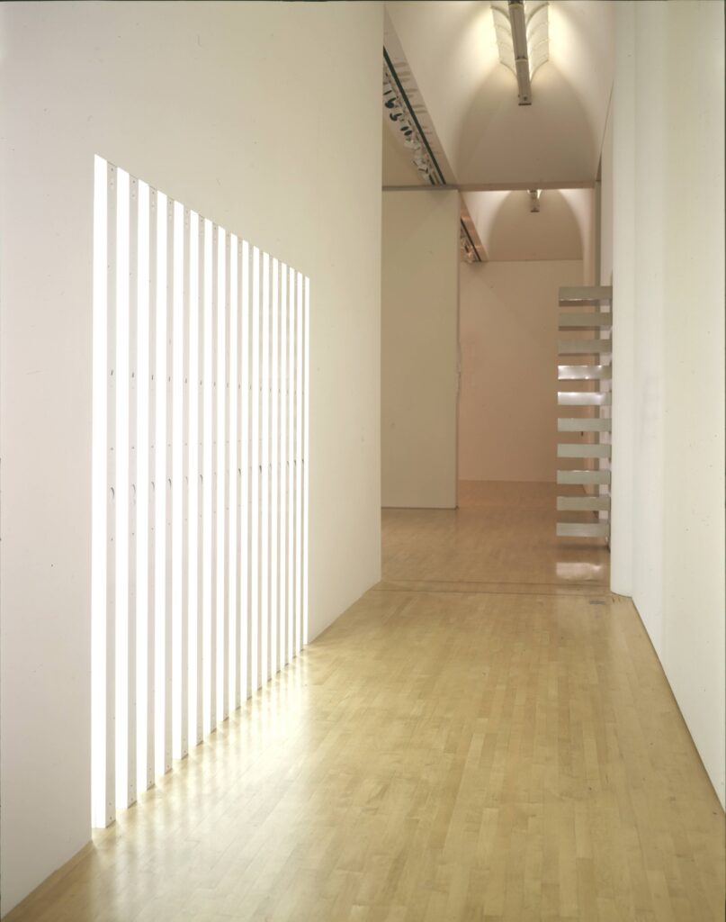 Dan Flavin · SFMOMA