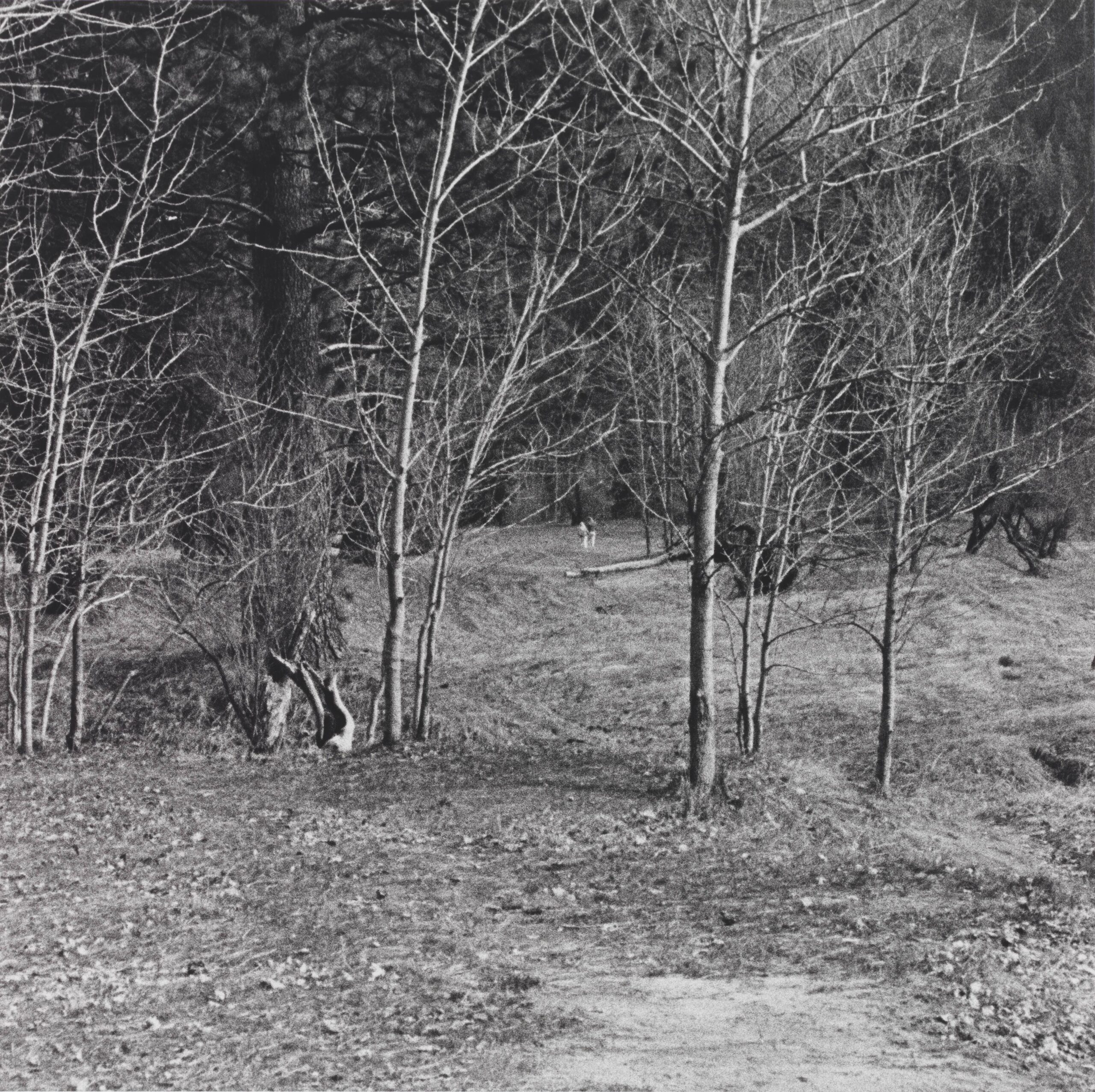 John Divola, Occupied Landscape #3 (Yosemite), from the Four Landscapes ...