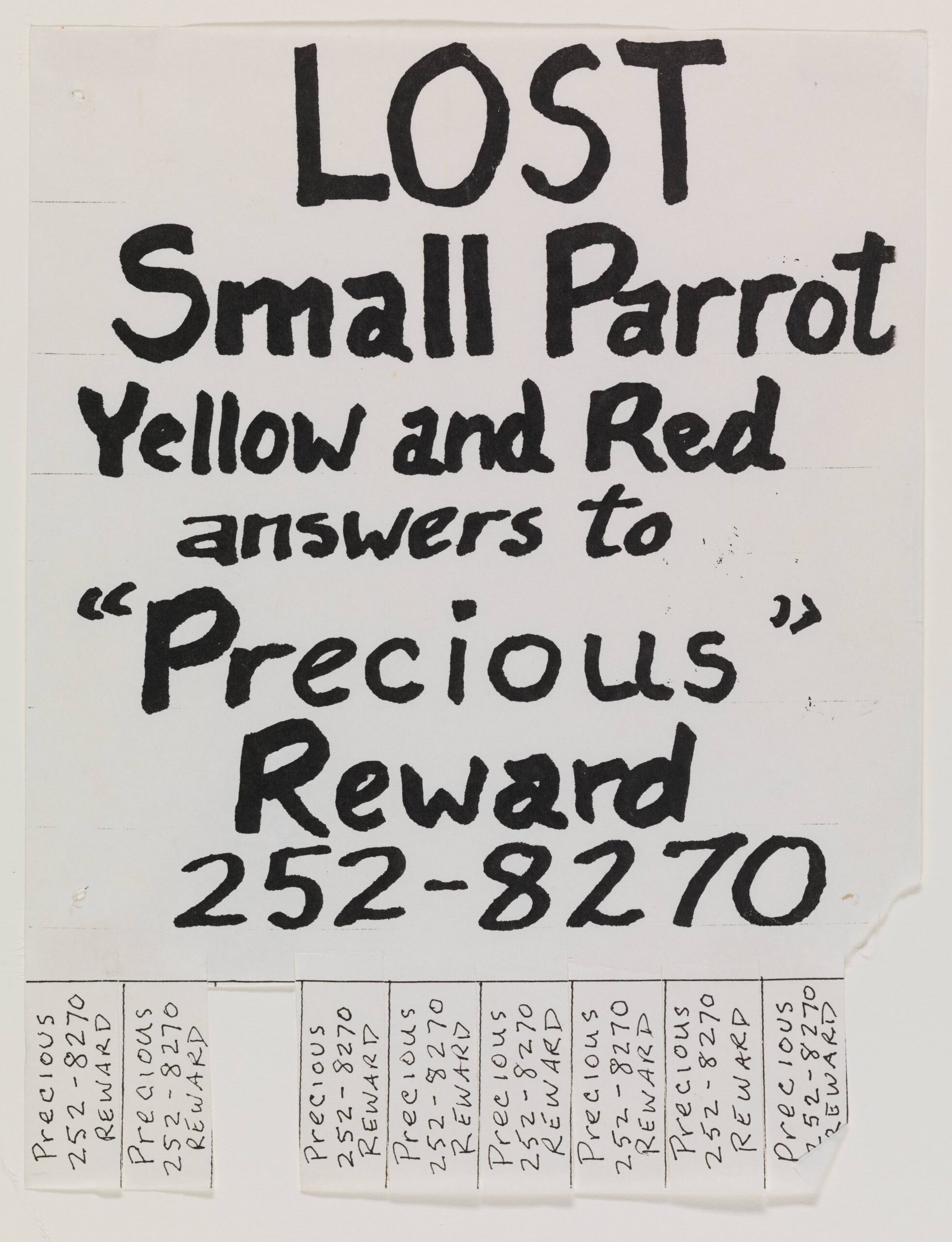 Rigo 98 (now Rigo 23), Found “Lost Bird” Poster, 1989-1998 · SFMOMA