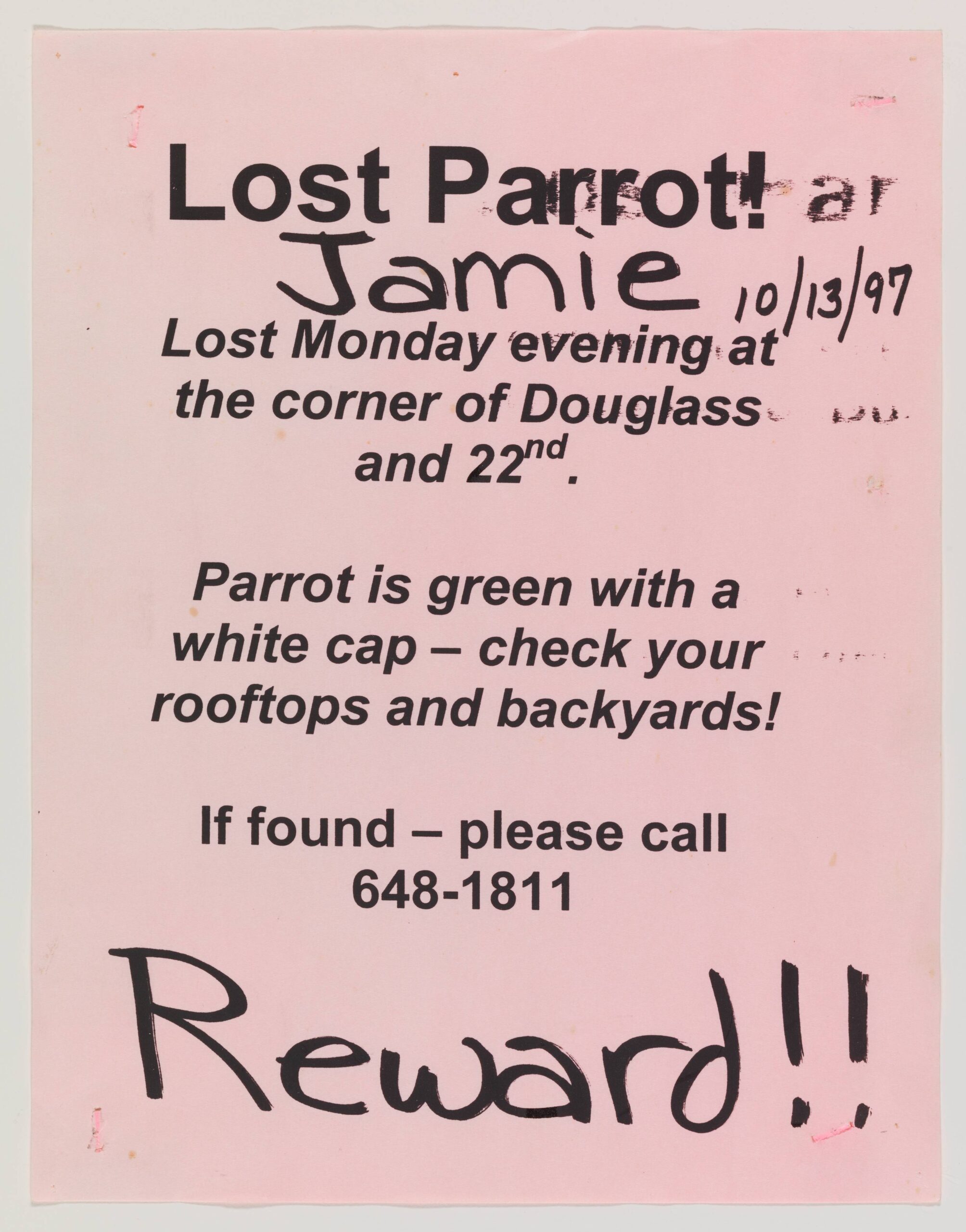 Rigo 98 (now Rigo 23), Found “Lost Bird” Poster, 1989-1998 · SFMOMA