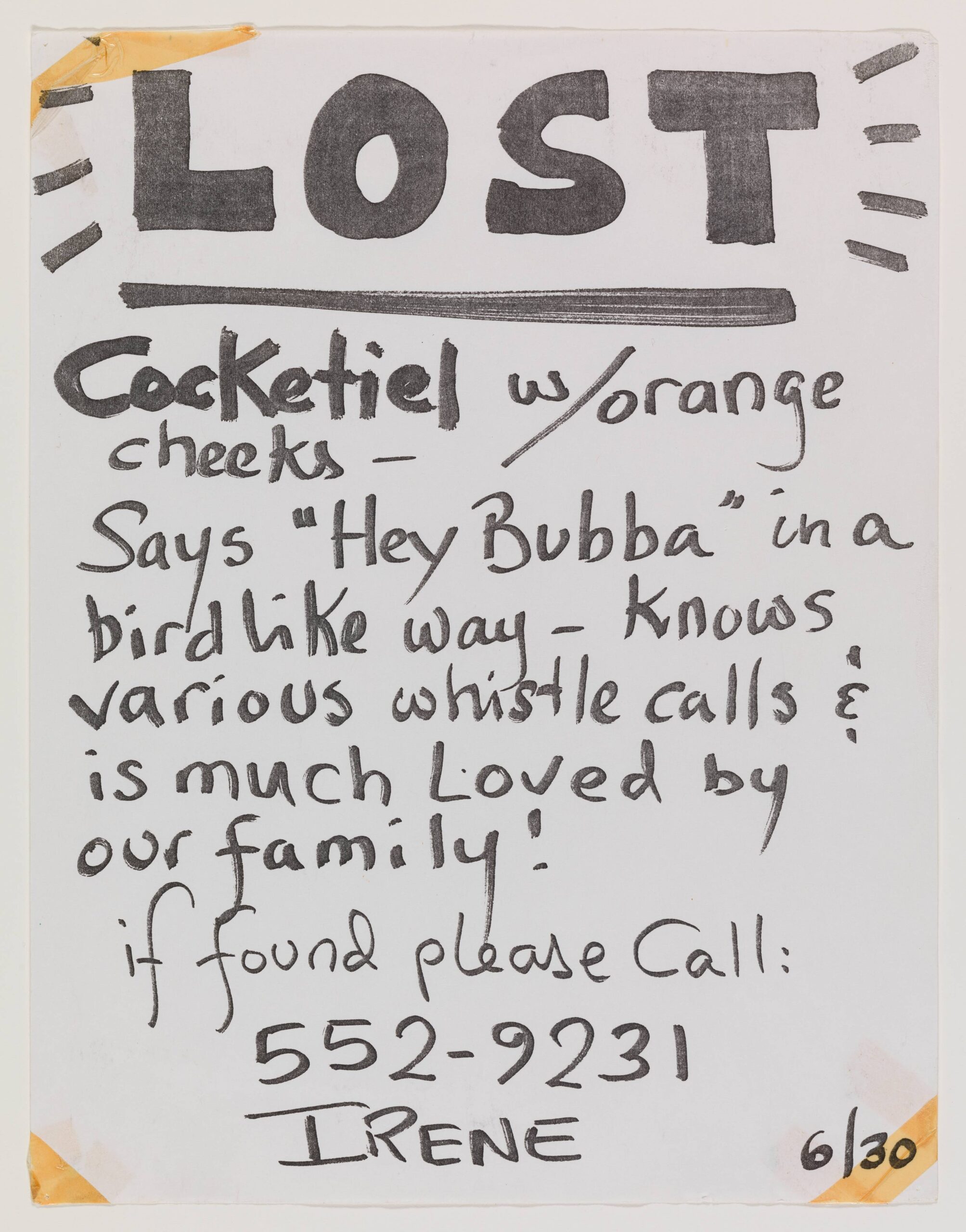 Rigo 98 (now Rigo 23), Found “Lost Bird” Poster, 1989-1998 · SFMOMA