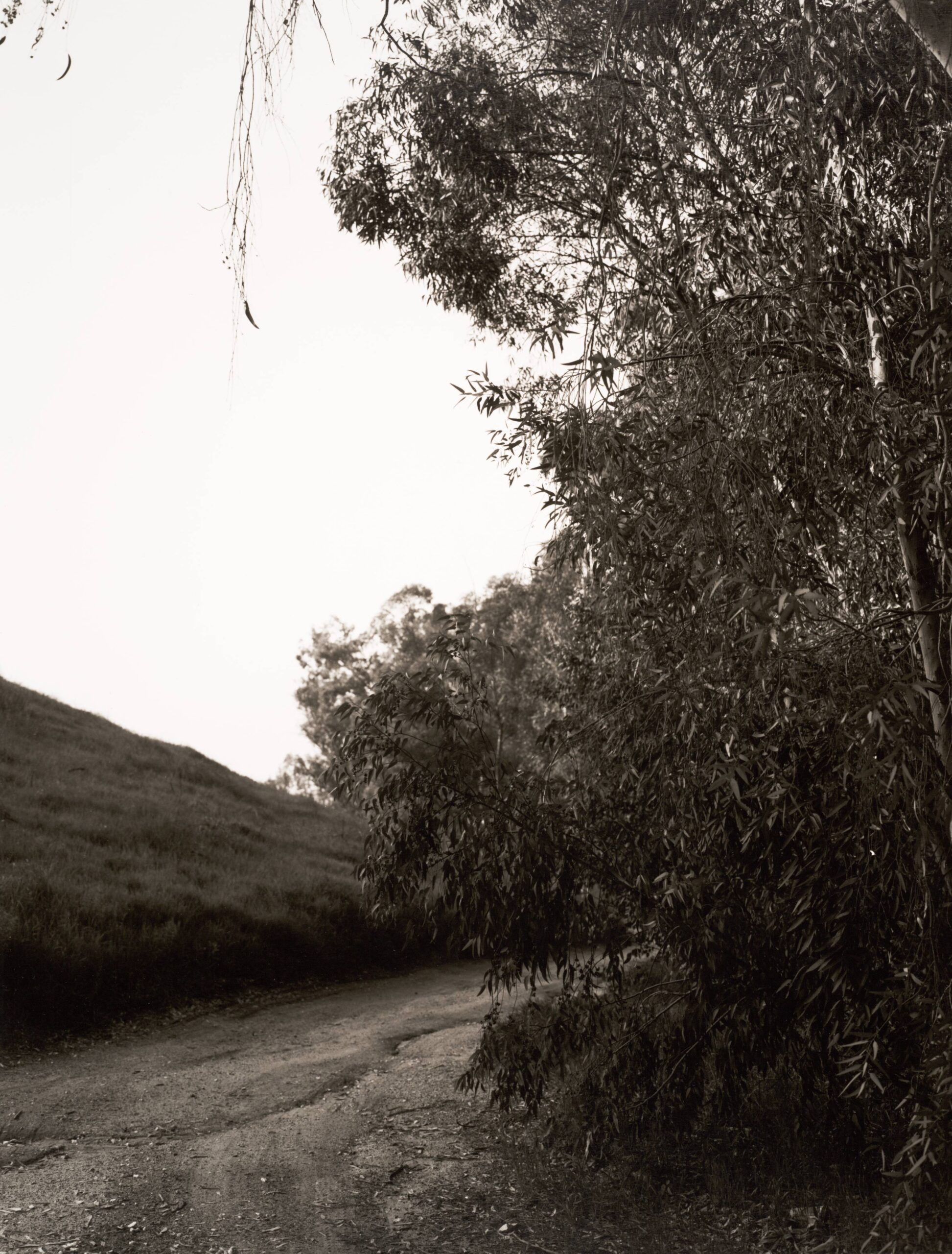 Robert Adams, Next to Interstate 10, Redlands, California, 1983 ...