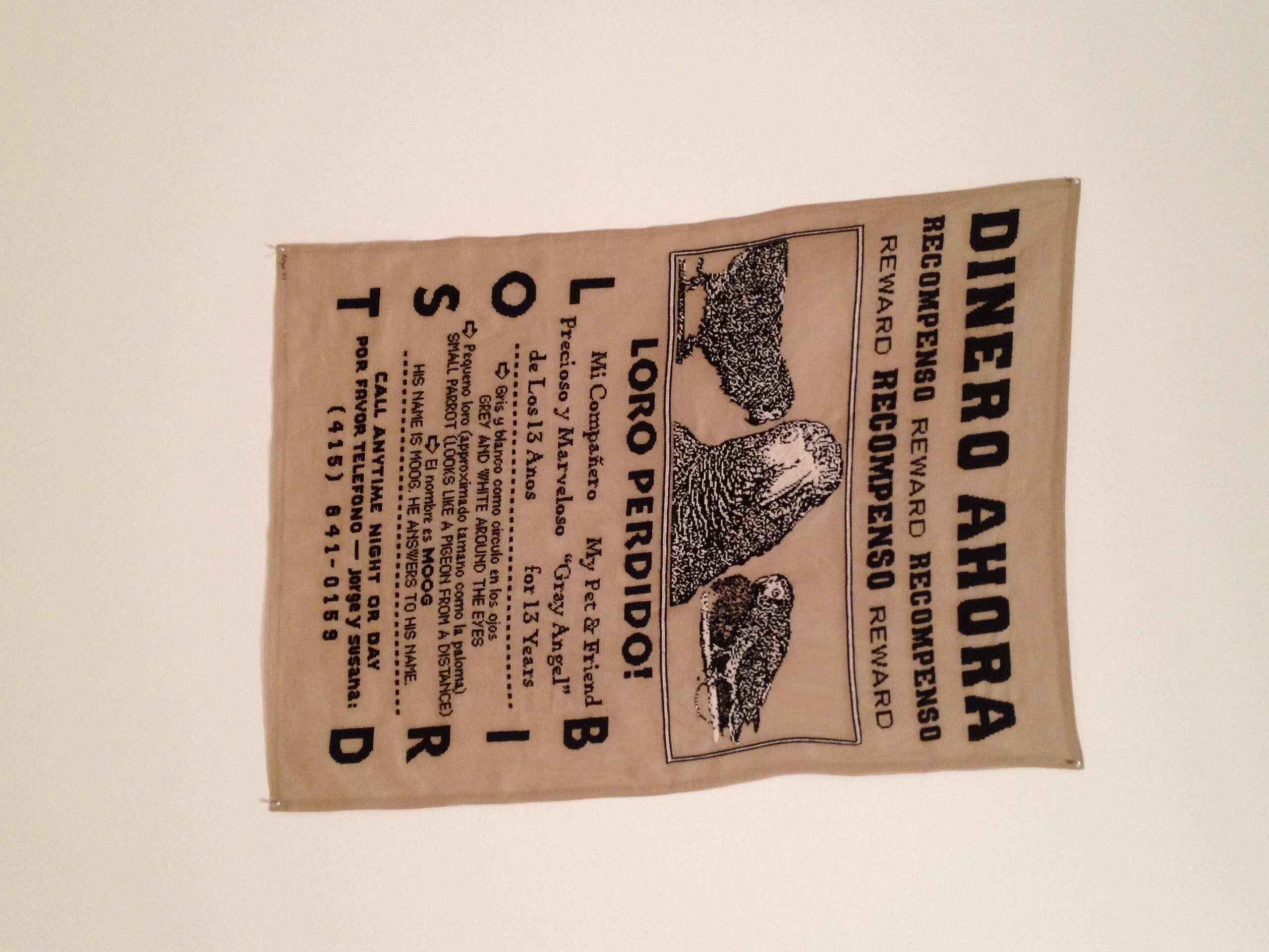 Rigo 00 (now Rigo 23), Loro Perdido, 2000 · SFMOMA