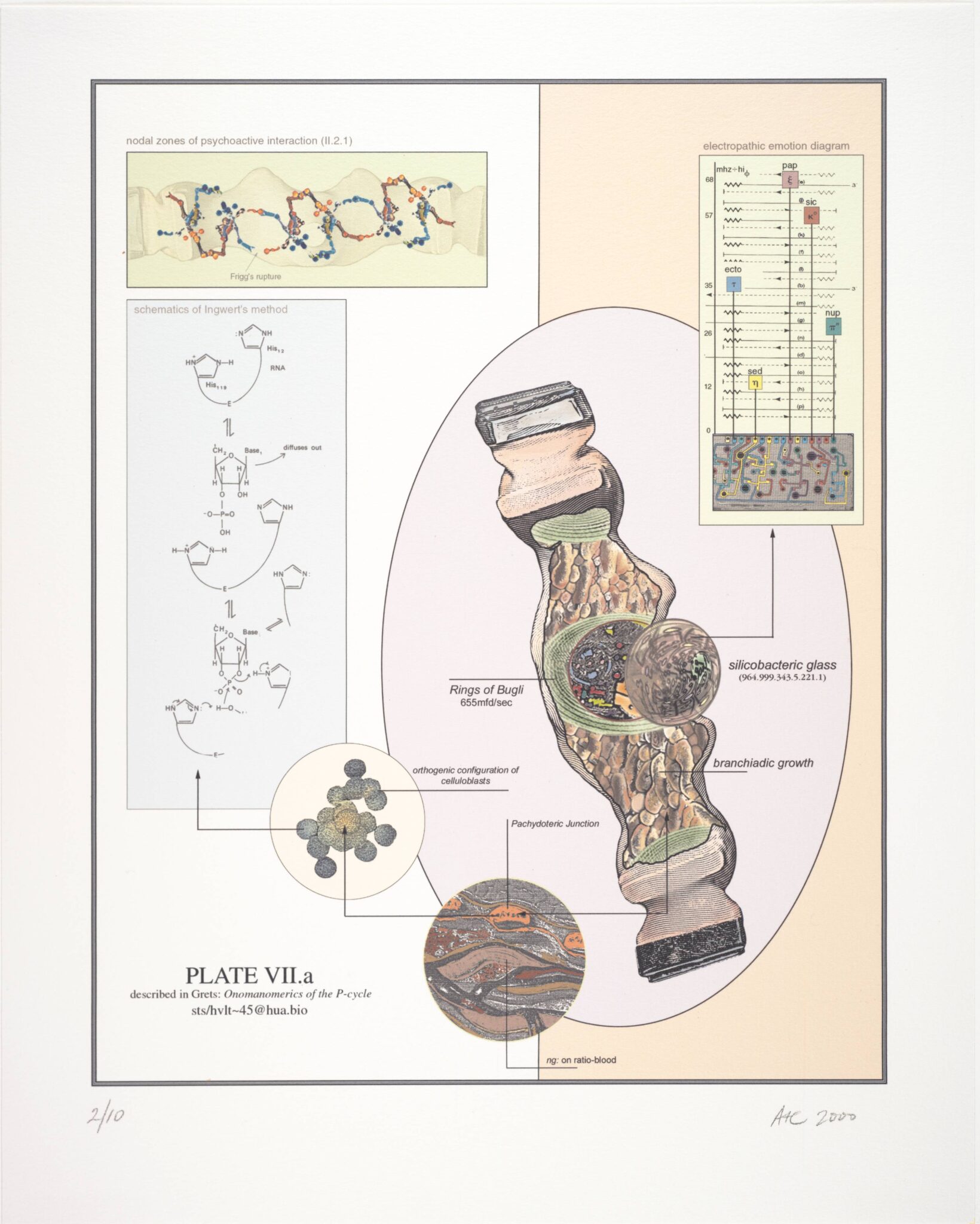 Aziz + Cucher · SFMOMA