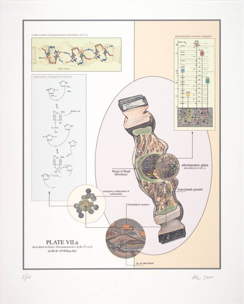 Aziz + Cucher, Interior #2, 1998, printed 2001 · SFMOMA