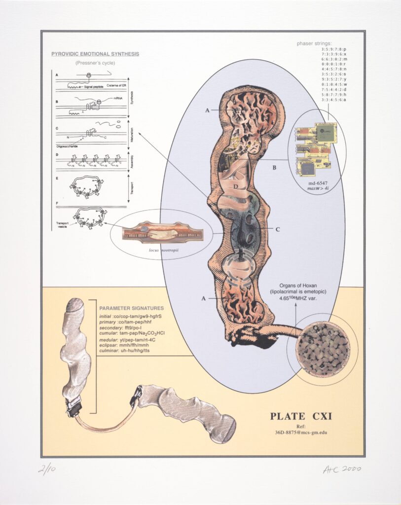 Aziz + Cucher · SFMOMA