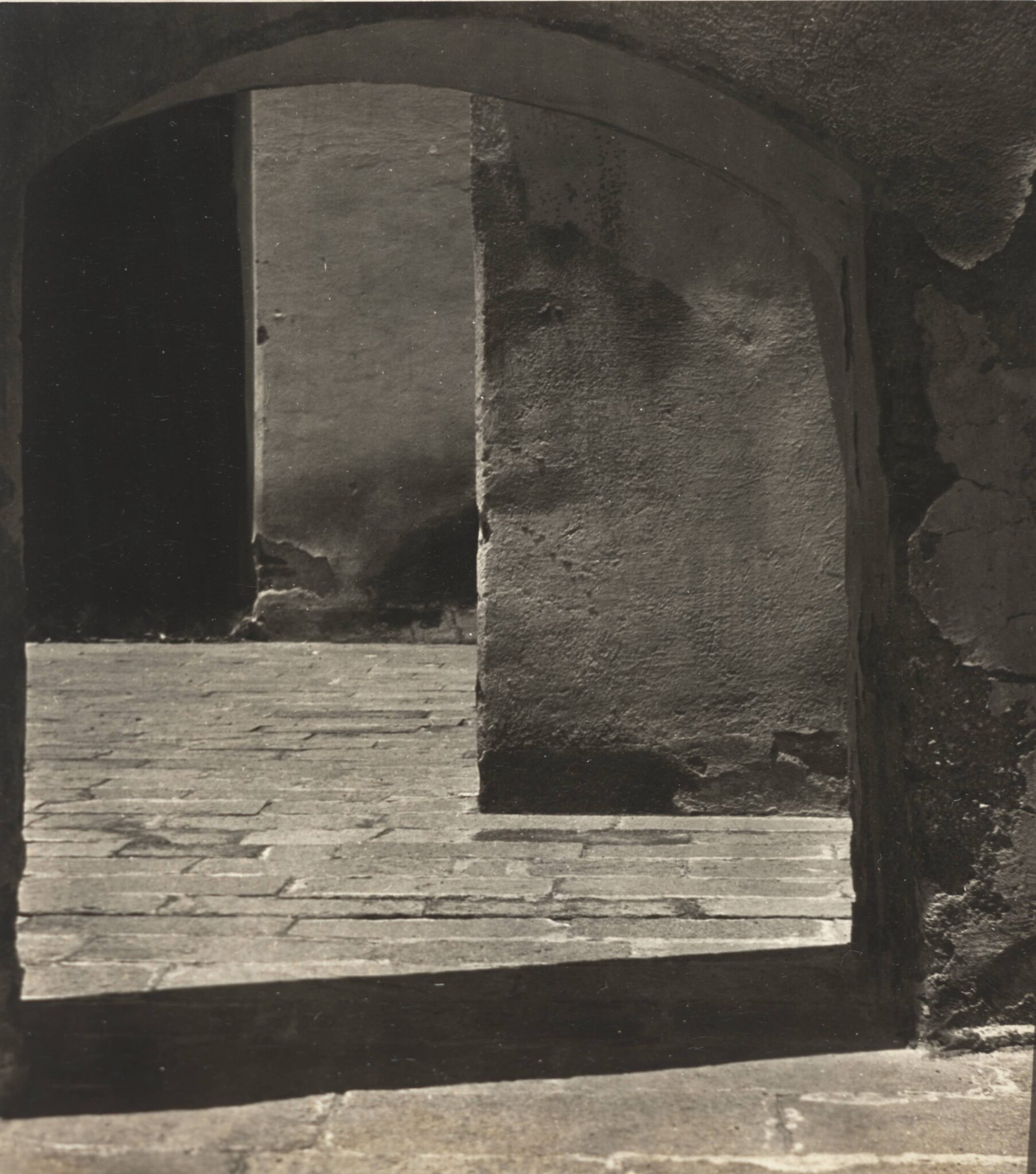 Tina Modotti, Untitled, 1924 · SFMOMA
