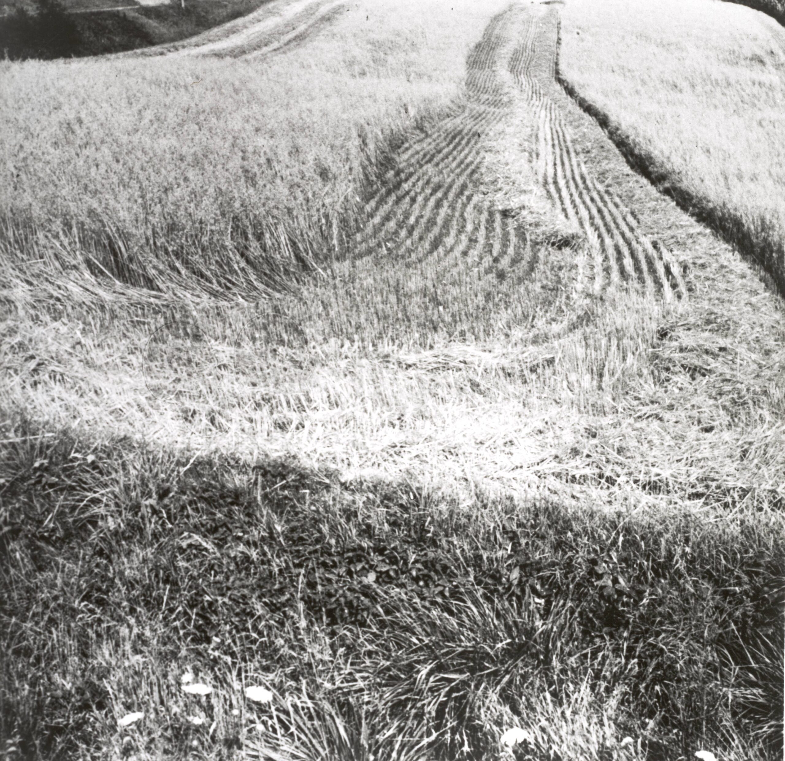 Dennis Oppenheim, Directed Harvest (stage 3). 1000’ span, Hamburg ...