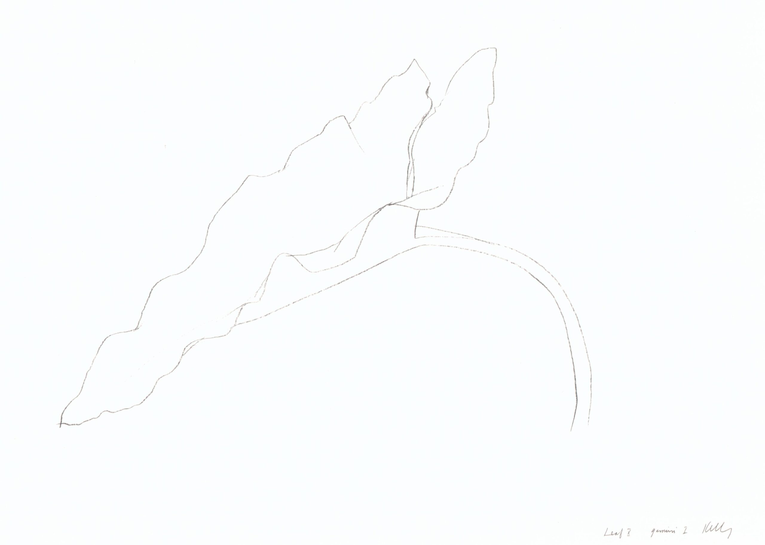 Ellsworth Kelly, Leaf X, 1978 · SFMOMA