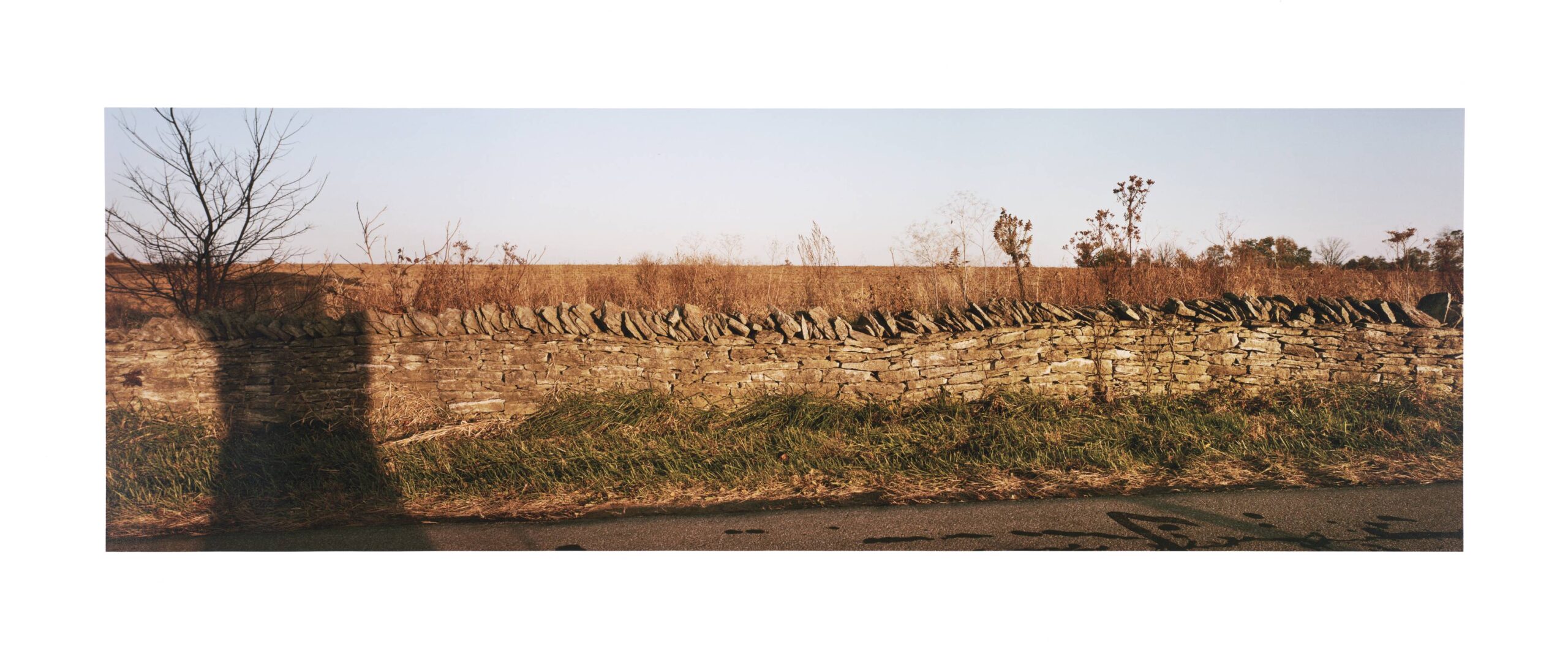 Stuart Klipper, Stone wall, Old Betcher Church Road, Lexington Co ...