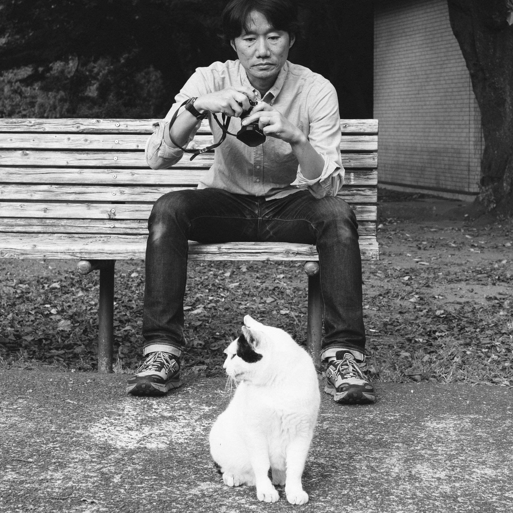 Tomoki Imai · SFMOMA