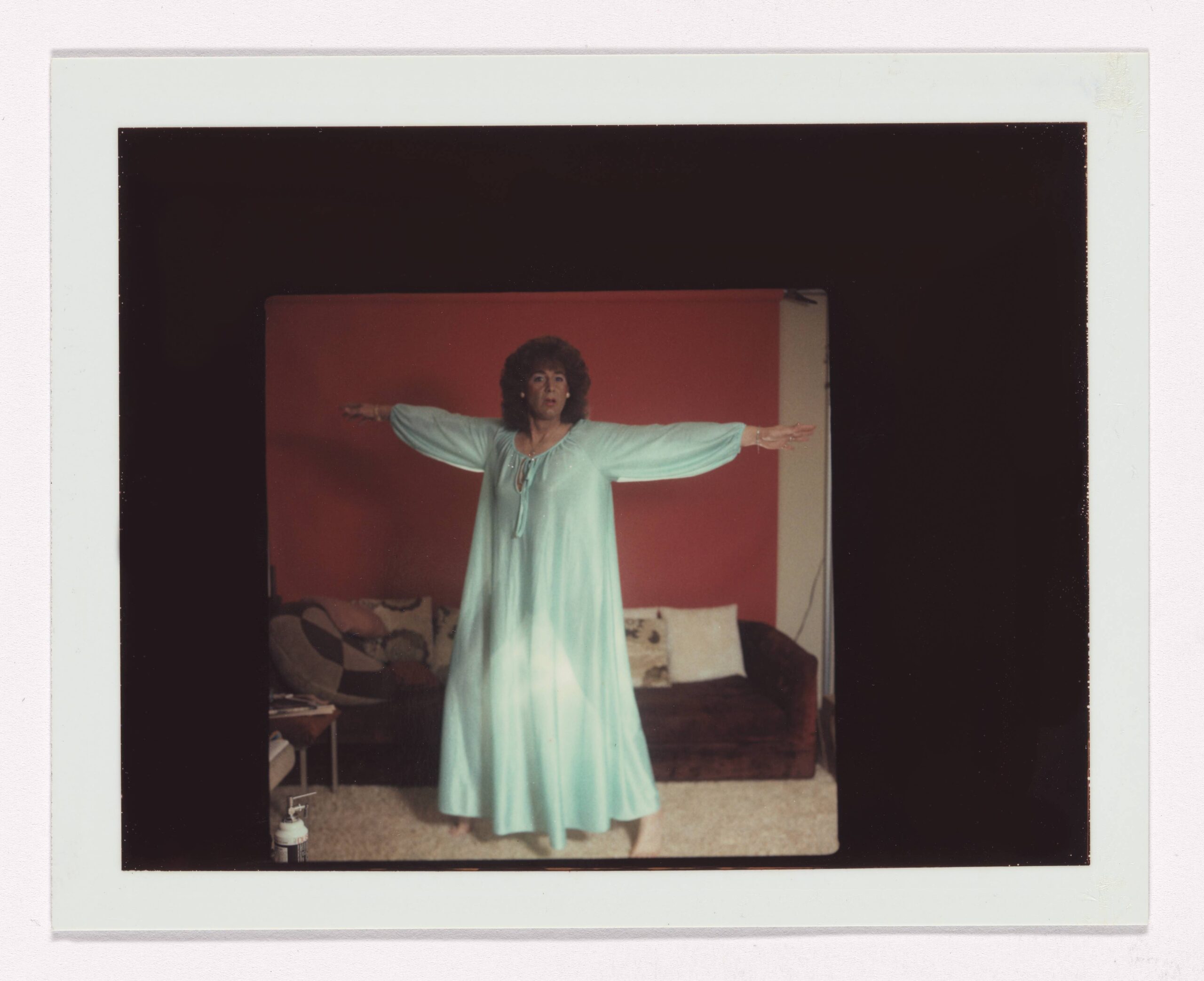 April Dawn Alison, Untitled, ca. 1975 - 2008 · SFMOMA