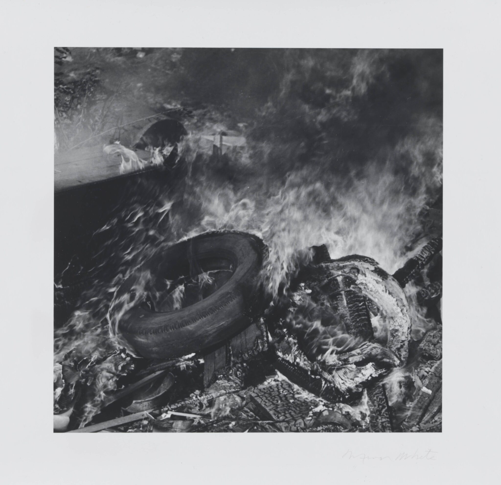 Minor White · SFMOMA