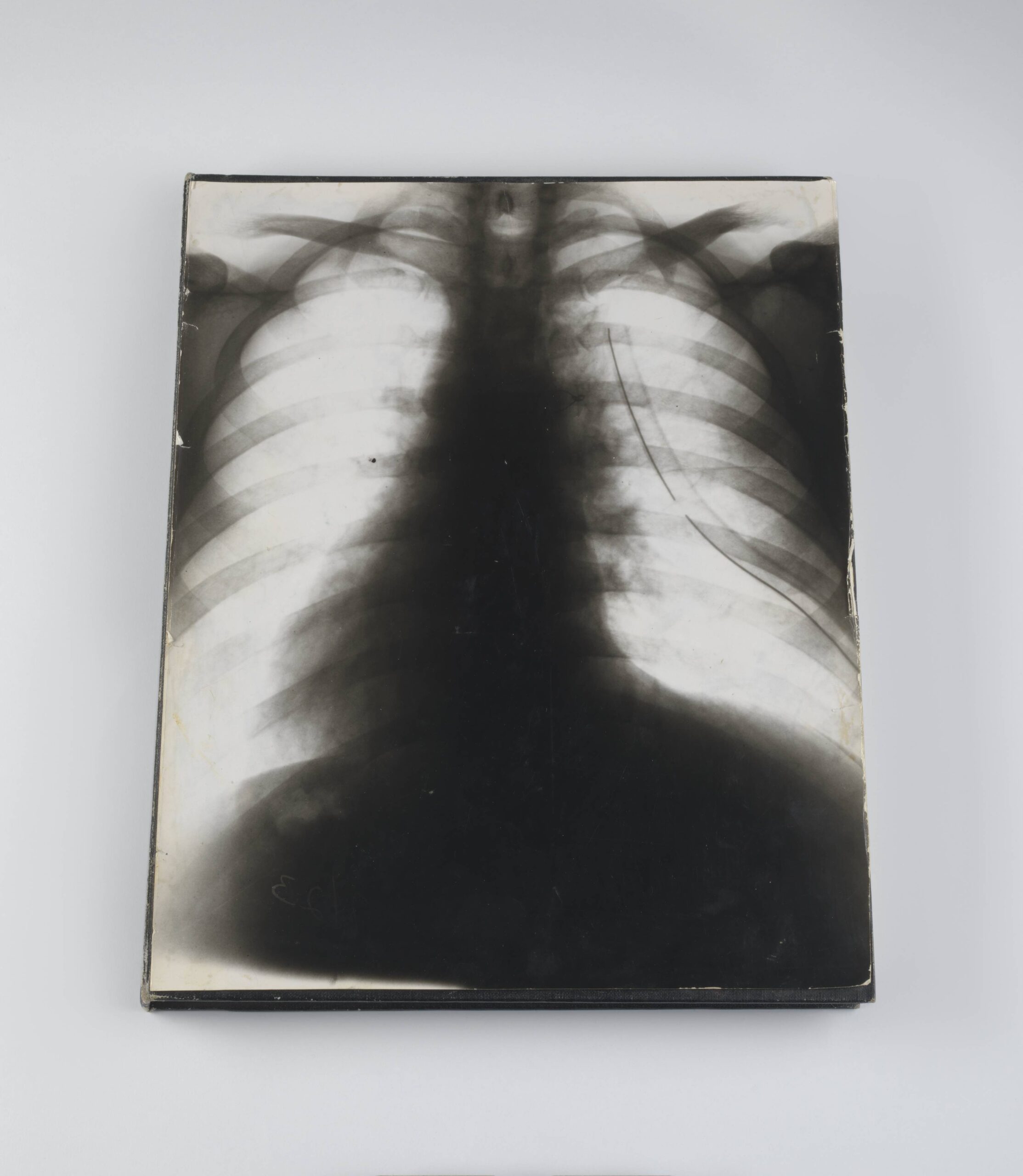 Terry Fox, A.A., 1971-1972 · SFMOMA