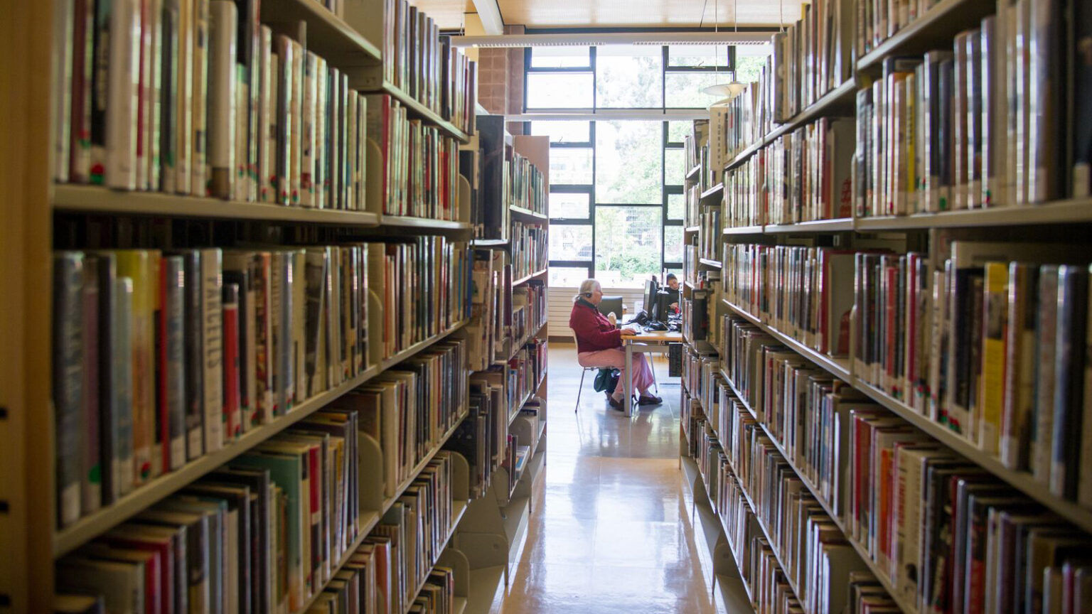 Our DEI Commitment · SFMOMA