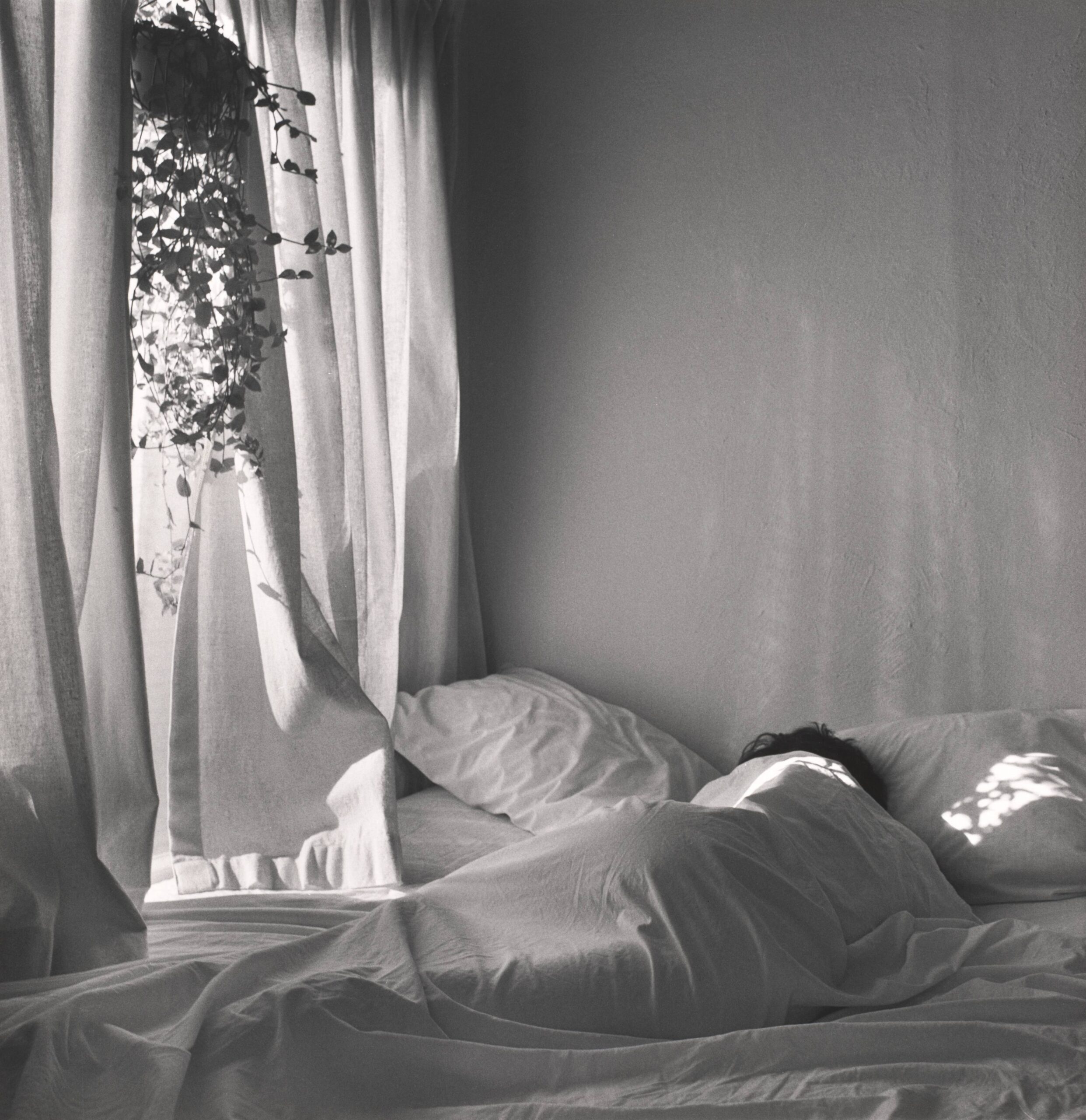 Joanne Leonard, Another Morning, 1971 · SFMOMA