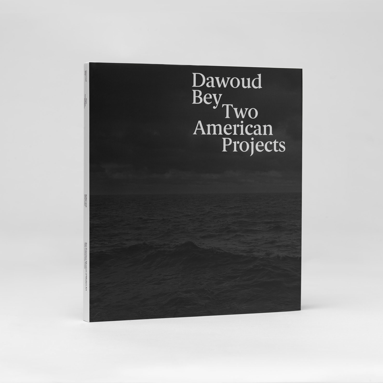 Dawoud Bey: Two American Projects · SFMOMA