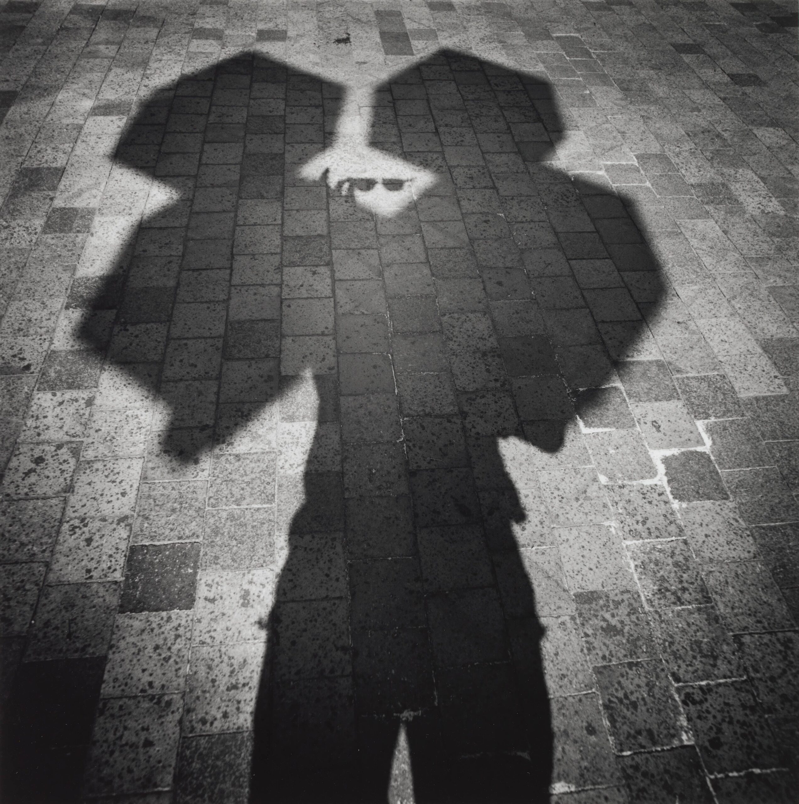 Arthur Tress, Transformations 7, New York, 1974 · SFMOMA