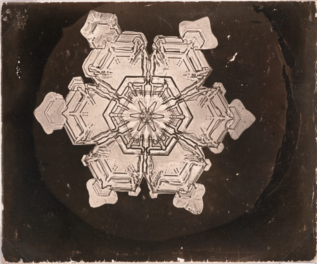 Wilson Alwyn Bentley, Snowflake, 1885-1931 · SFMOMA