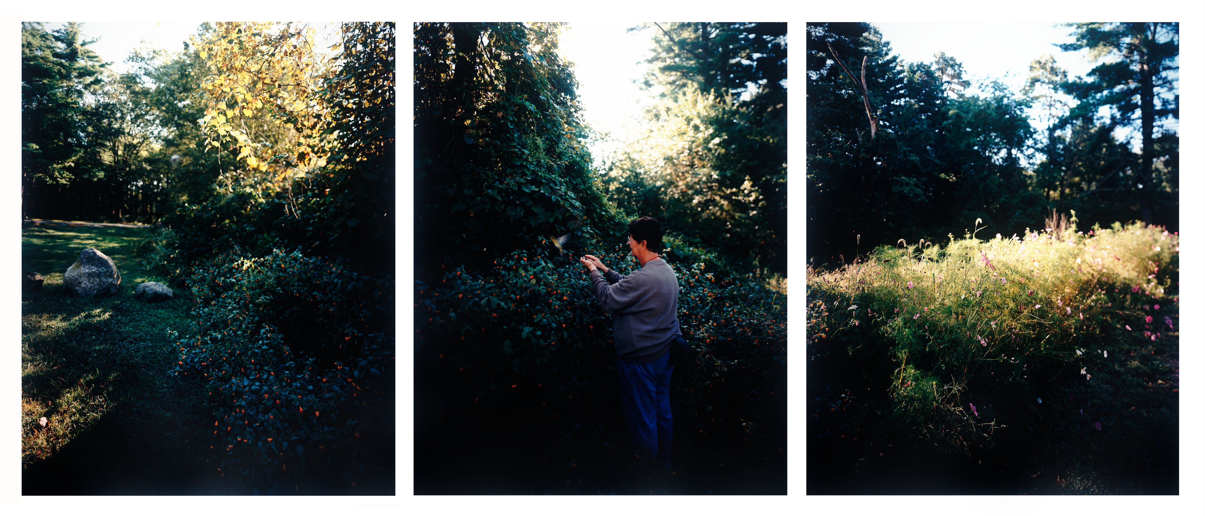 Barbara Bosworth, Beth, 2006 · SFMOMA