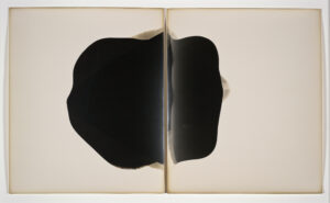 Alison Rossiter · SFMOMA