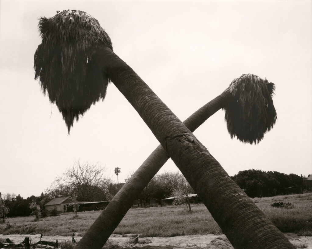 Robert Adams, Ontario, 1983 · SFMOMA