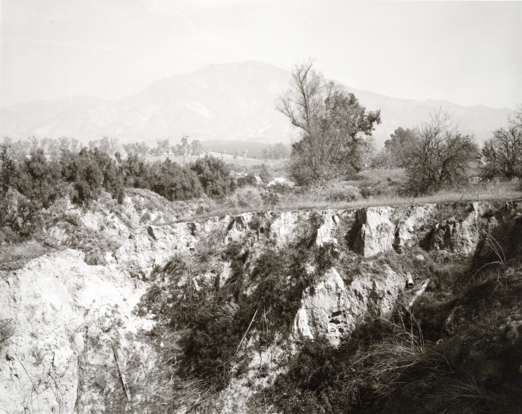 Robert Adams, Eroding edge of a former citrus-growing estate, East ...
