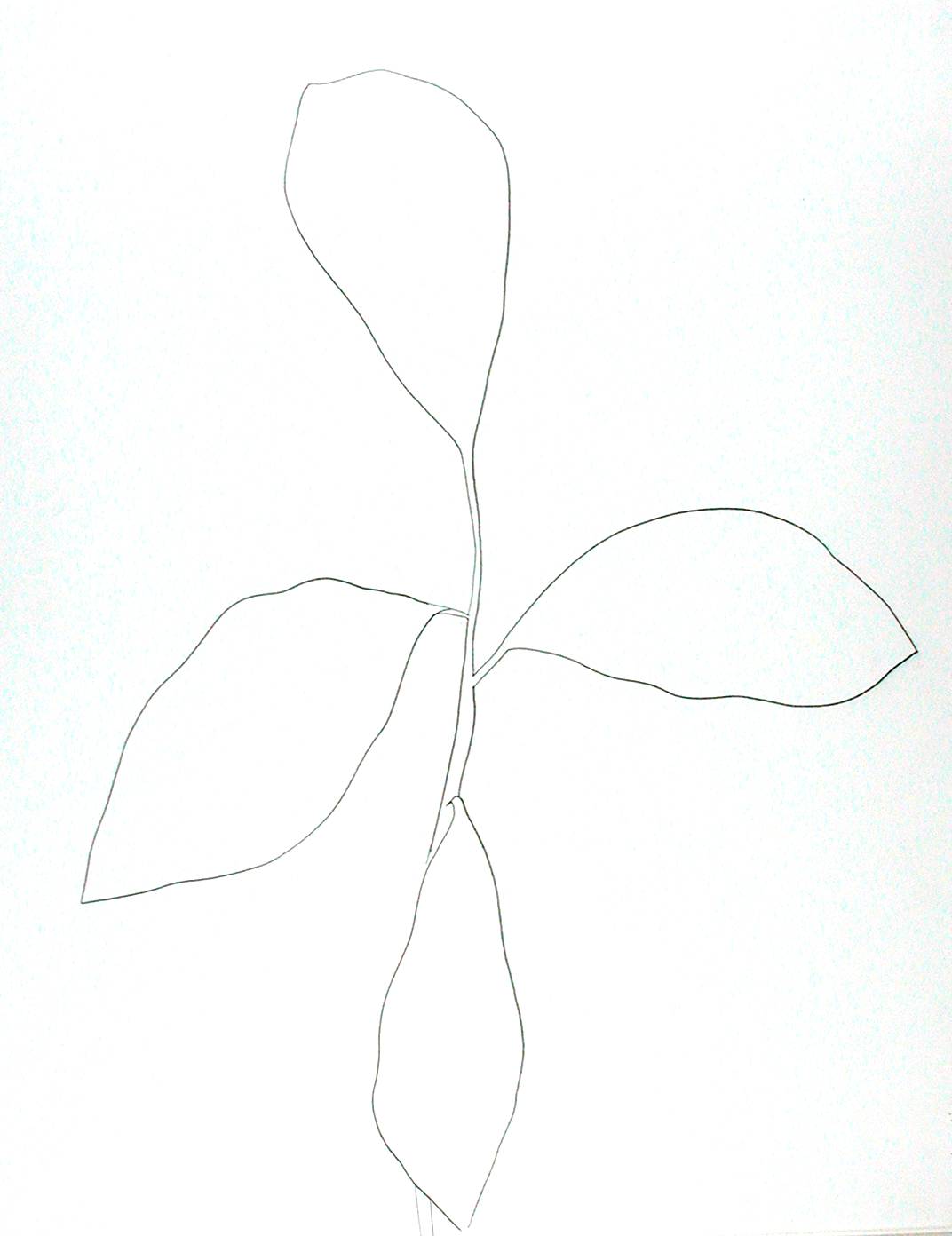 Ellsworth Kelly, Orange Leaves, 1967 · SFMOMA