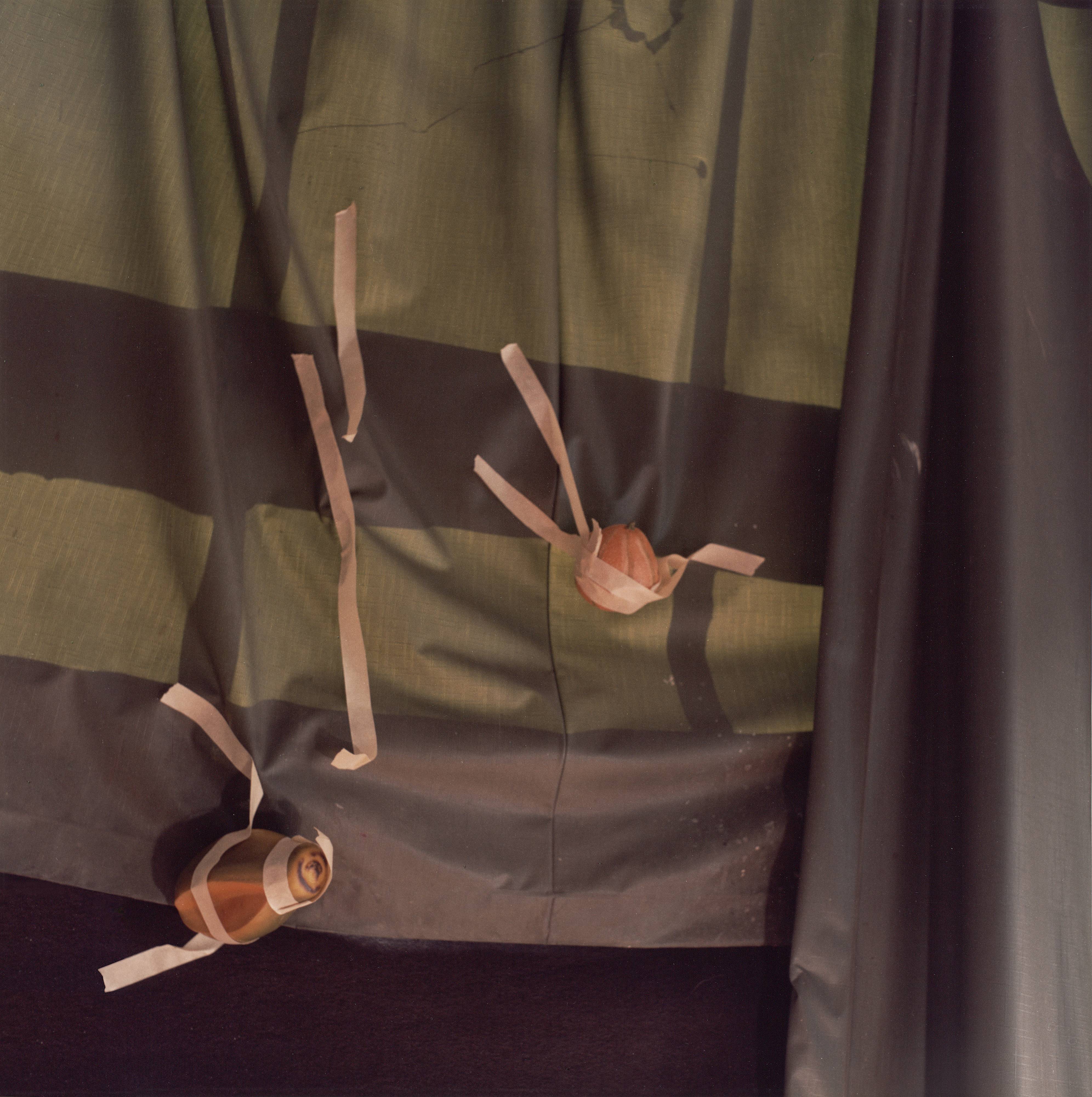 Barbara Thompson, Untitled, 1982 · SFMOMA