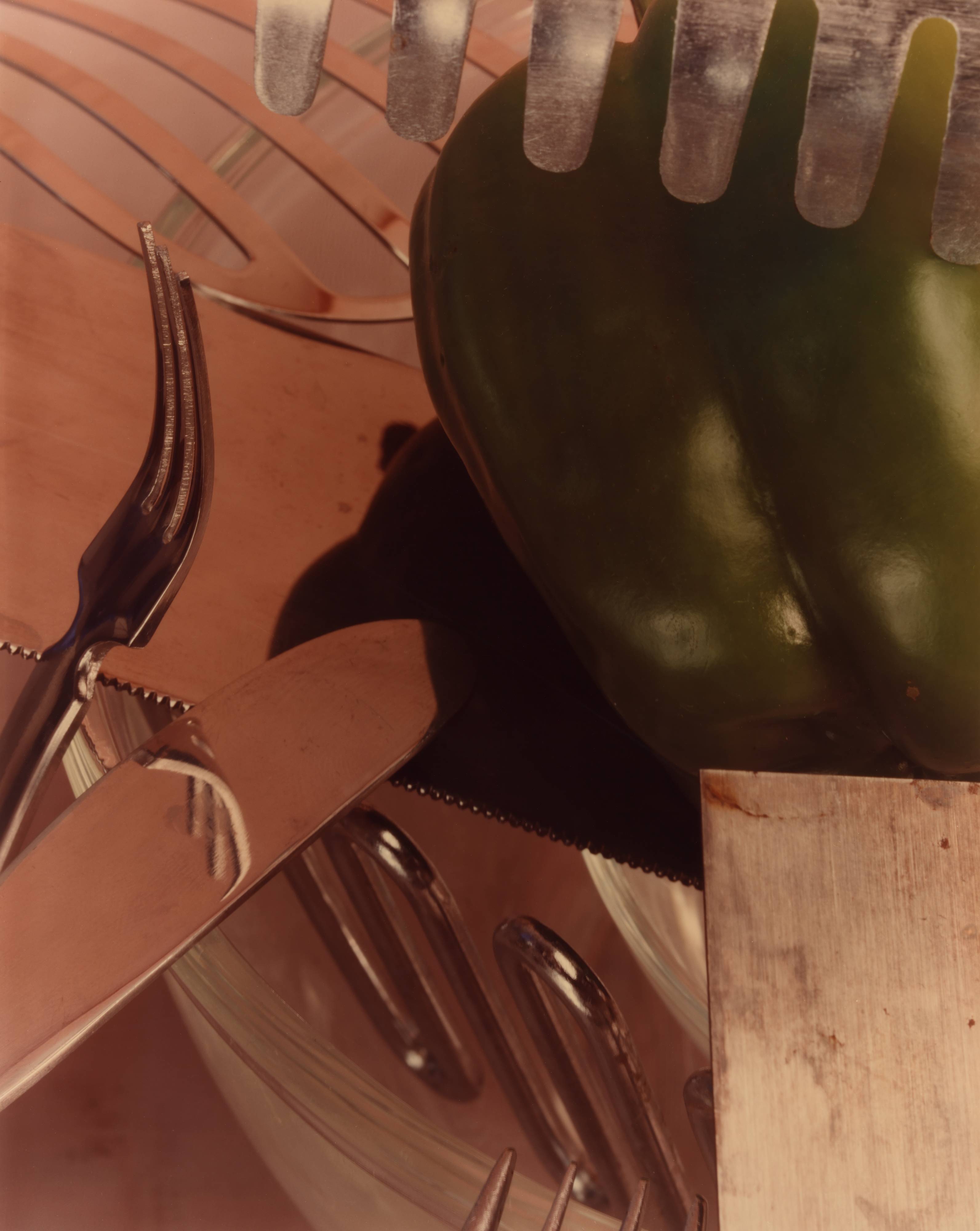 Jan Groover, Untitled, 1978 · SFMOMA