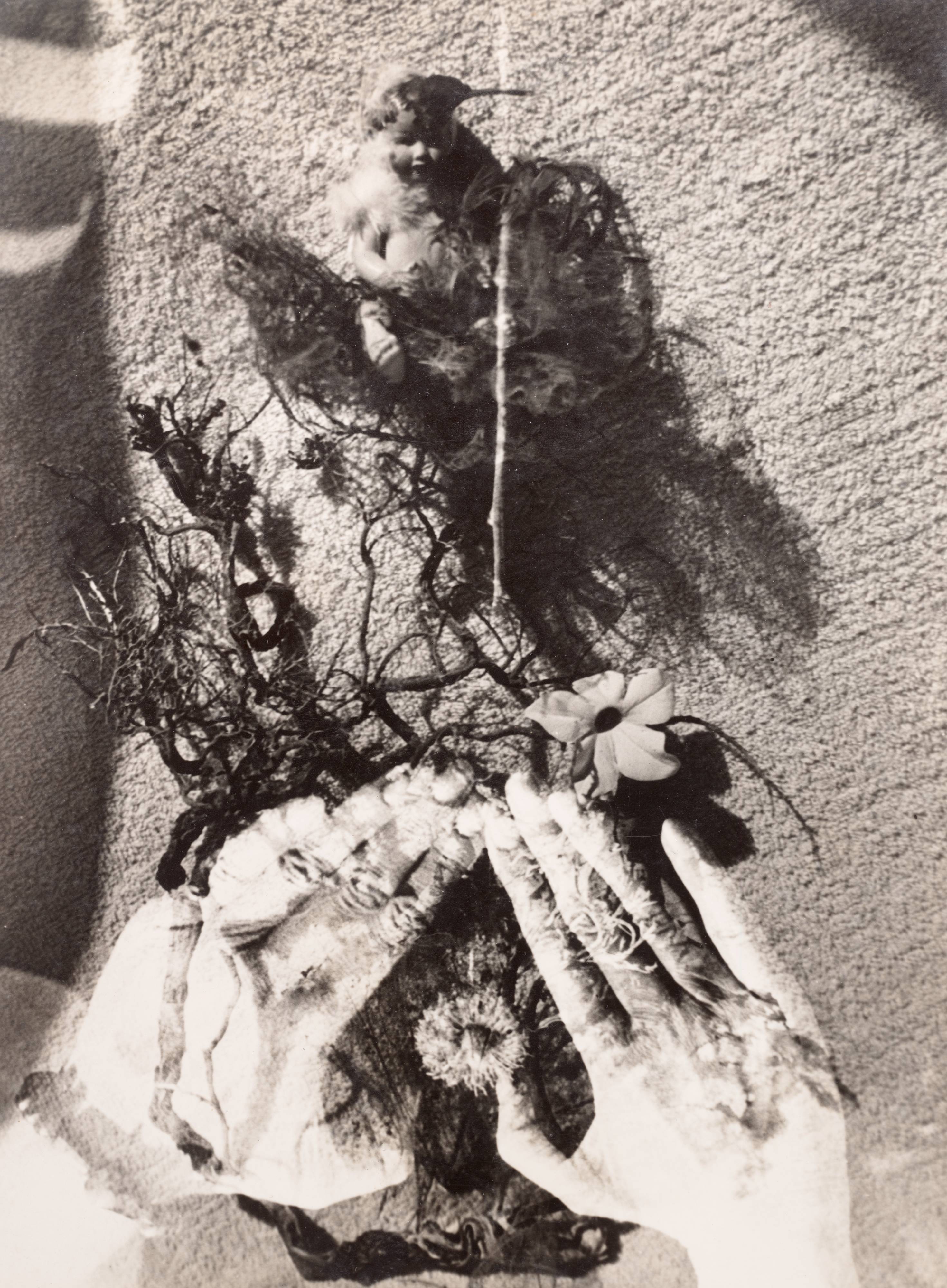 Claude Cahun (Lucy Schwob) and Marcel Moore (Suzanne Malherbe), Untitled, 1936 · SFMOMA