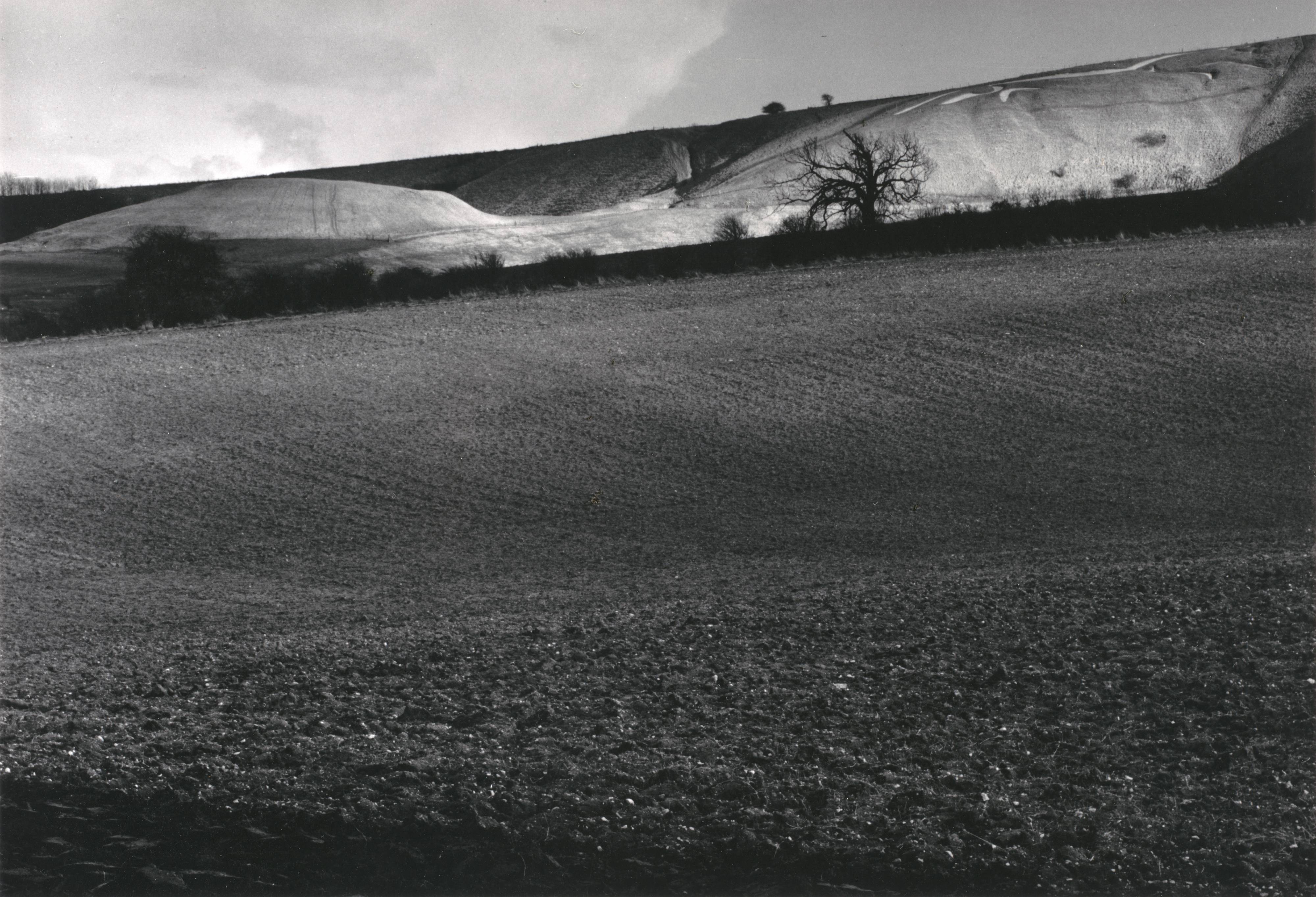 Fay Godwin, White Horse and Dragon Hill, Uffington, 1974, printed 1980 ...