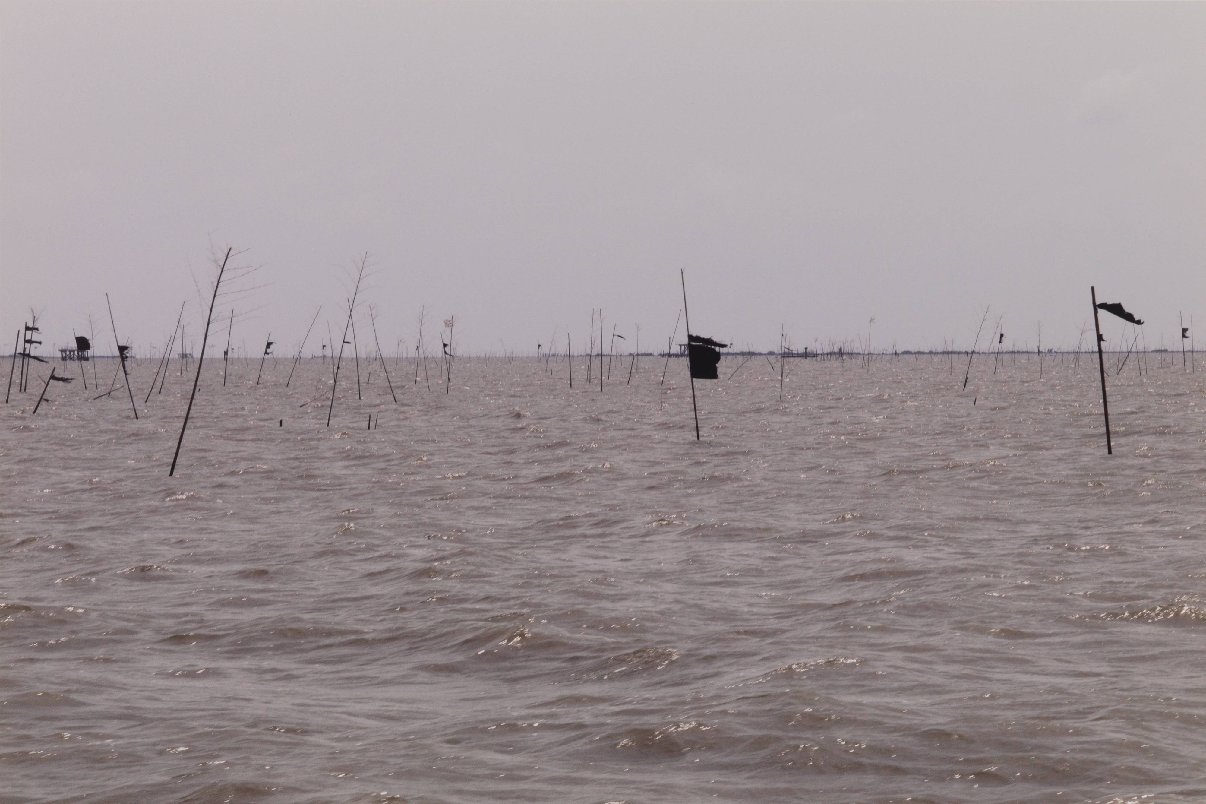 Zoe Strauss, Untitled, from the series Sea Change, ca. 2005 · SFMOMA