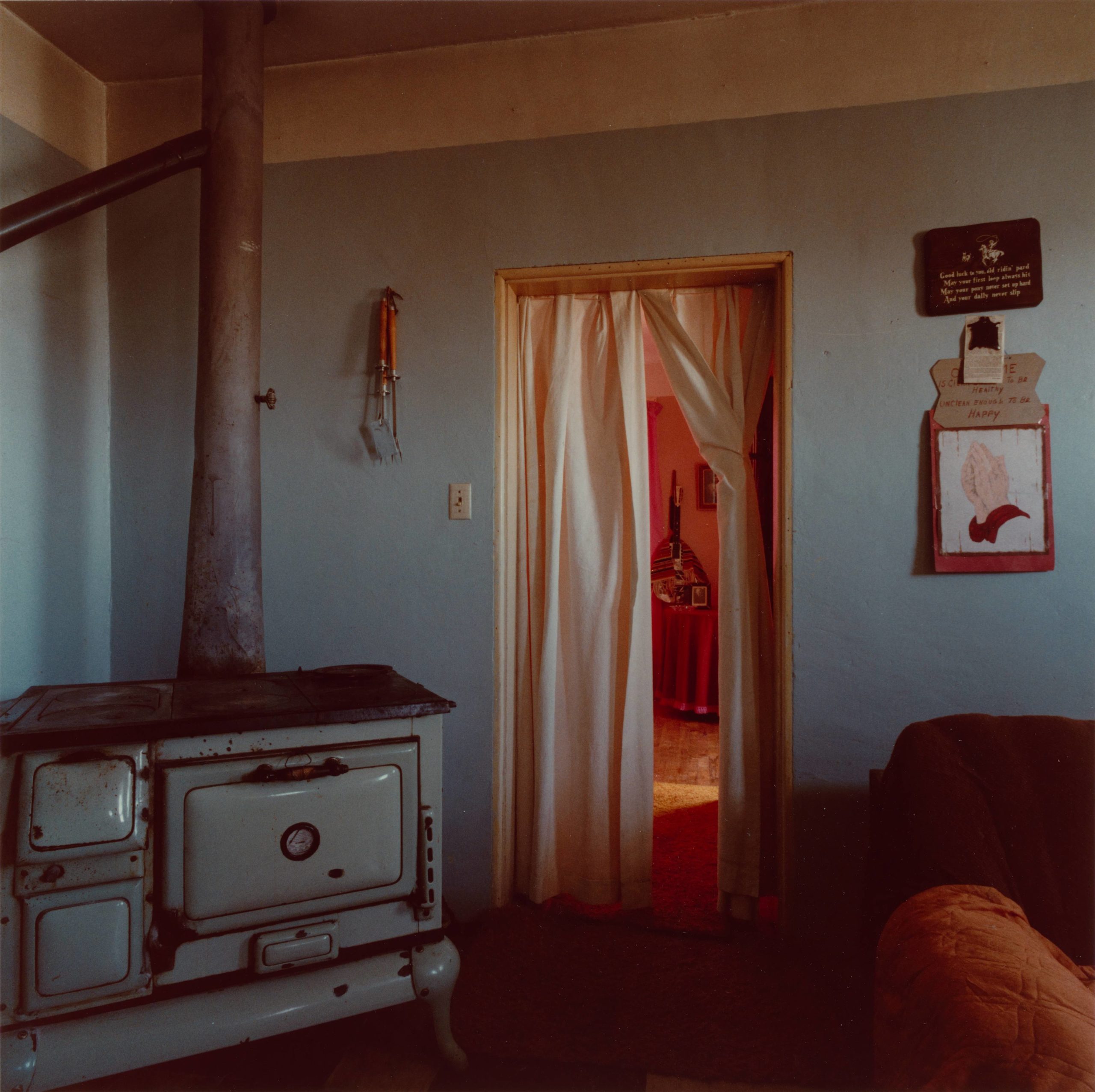 Louis Carlos Bernal, San Pedro Ranch, Animals, New Mexico, 1978 · SFMOMA
