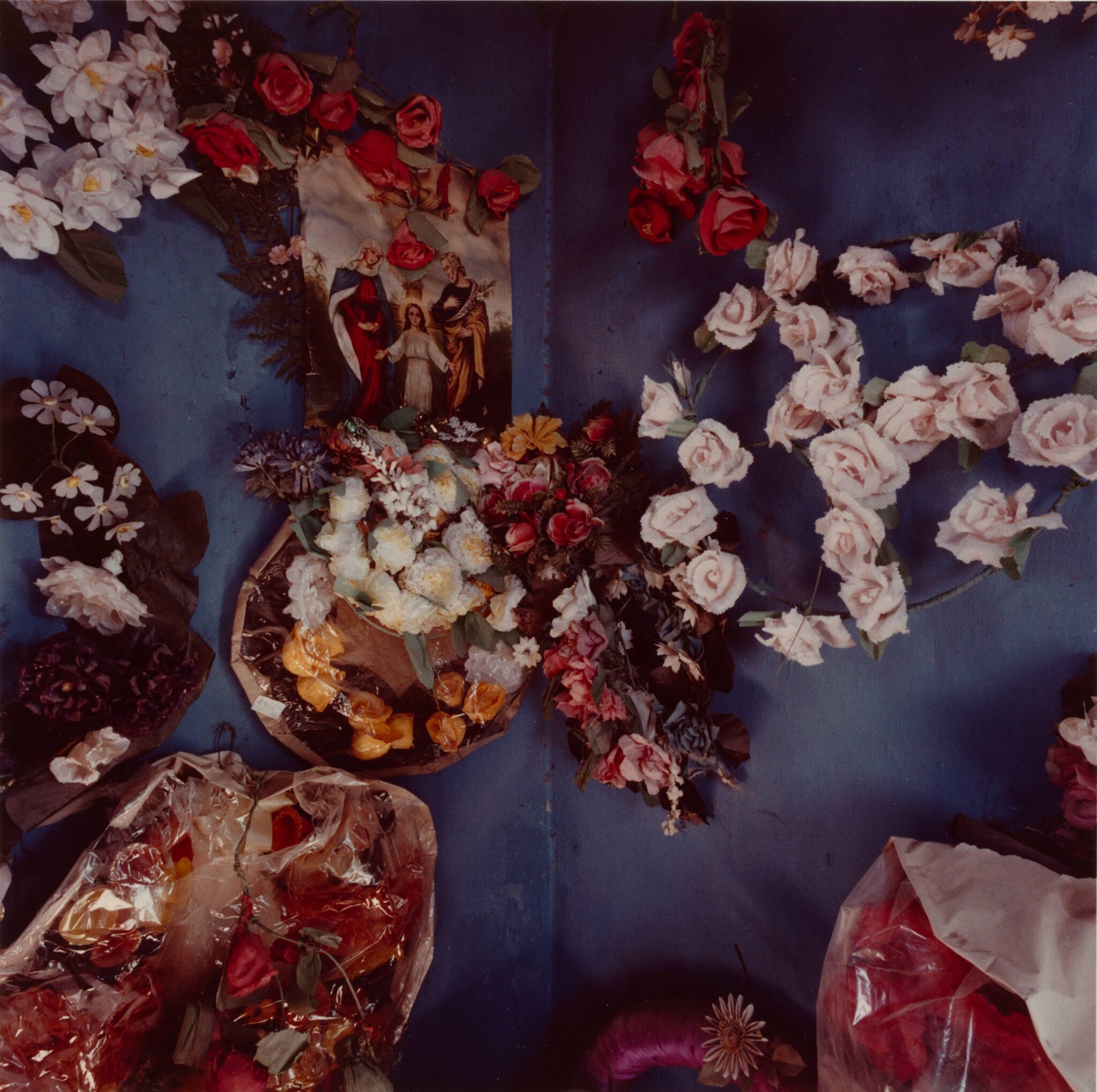 Louis Carlos Bernal · SFMOMA