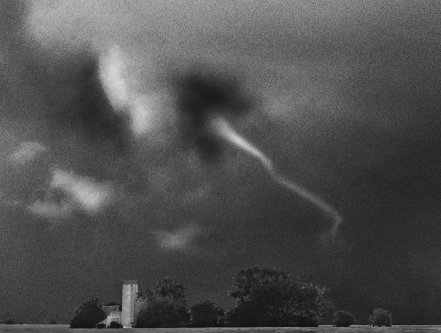 Susan Silton, Twister 10, from the series Twisters, 2003 · SFMOMA
