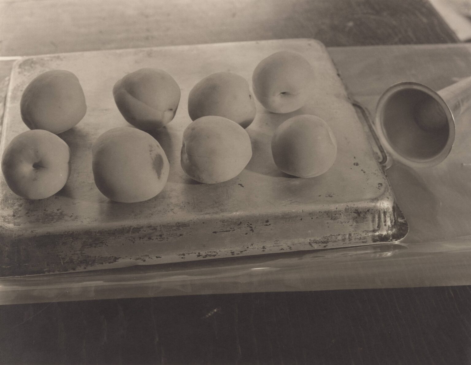 Jan Groover, Untitled, 1976 · SFMOMA