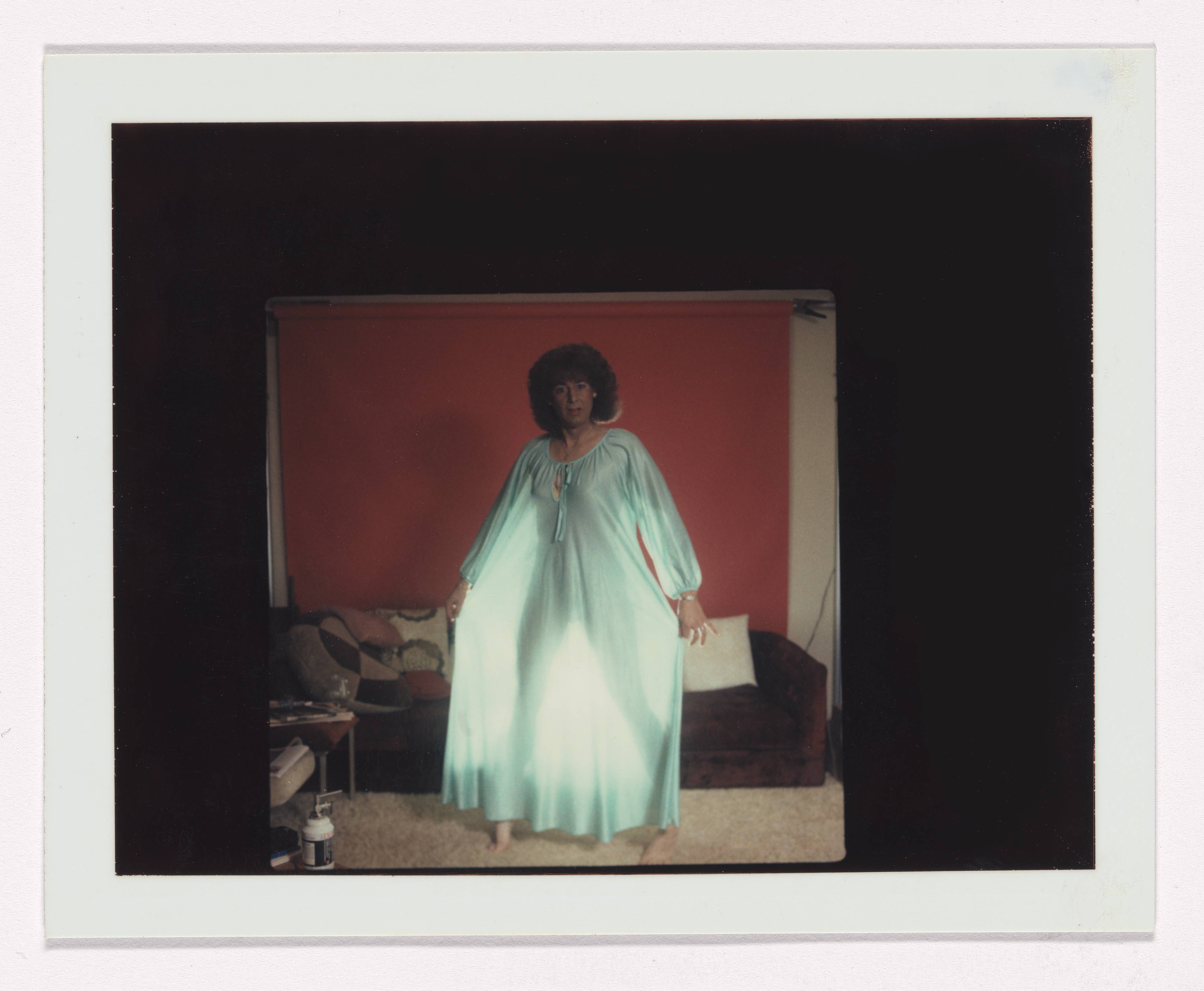April Dawn Alison, Untitled, ca. 1975 - 2008 · SFMOMA