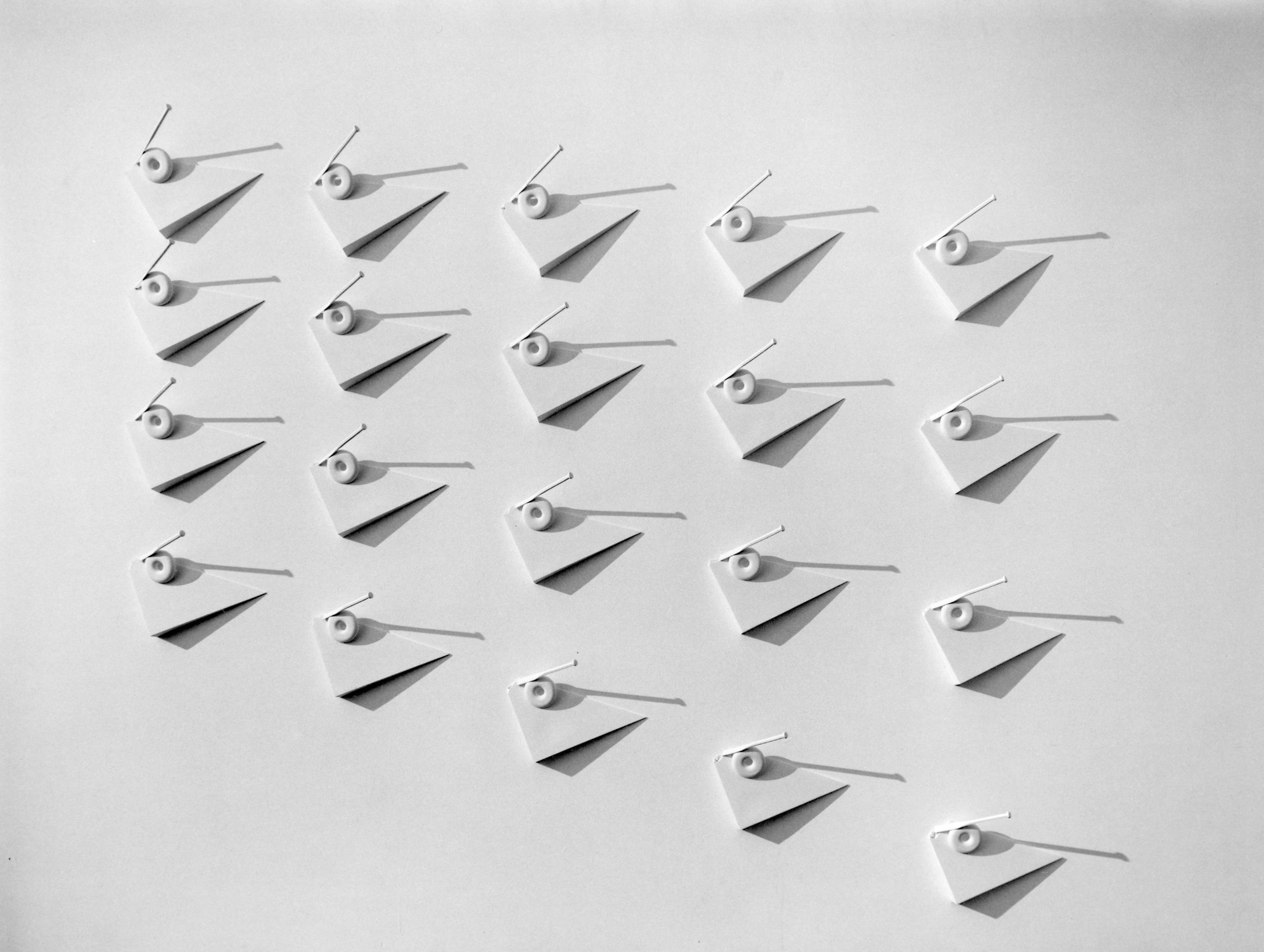 Tony Costanzo, Birds, 1975 · SFMOMA