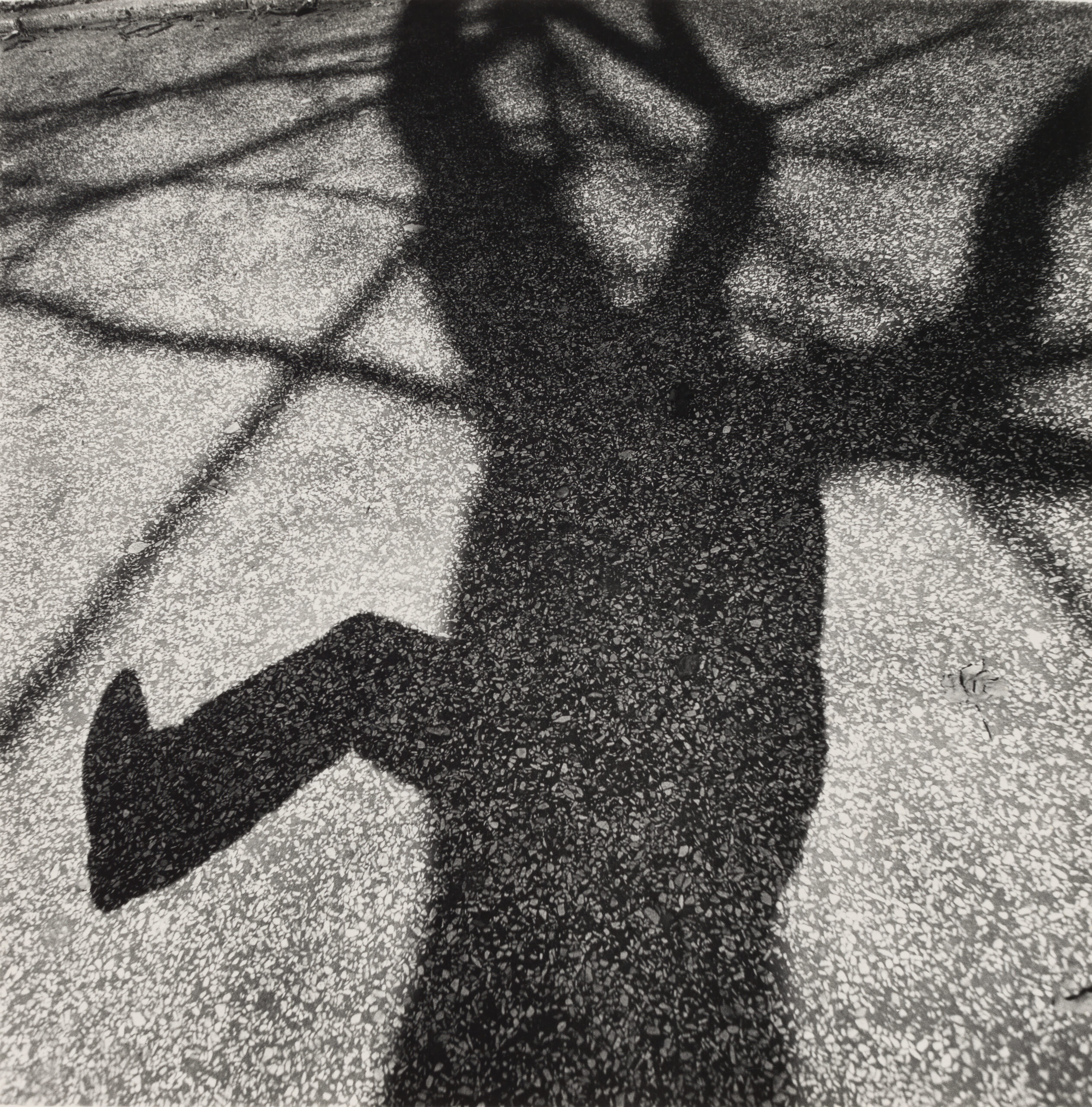 Arthur Tress, Transformations 4, New York, 1974 · SFMOMA
