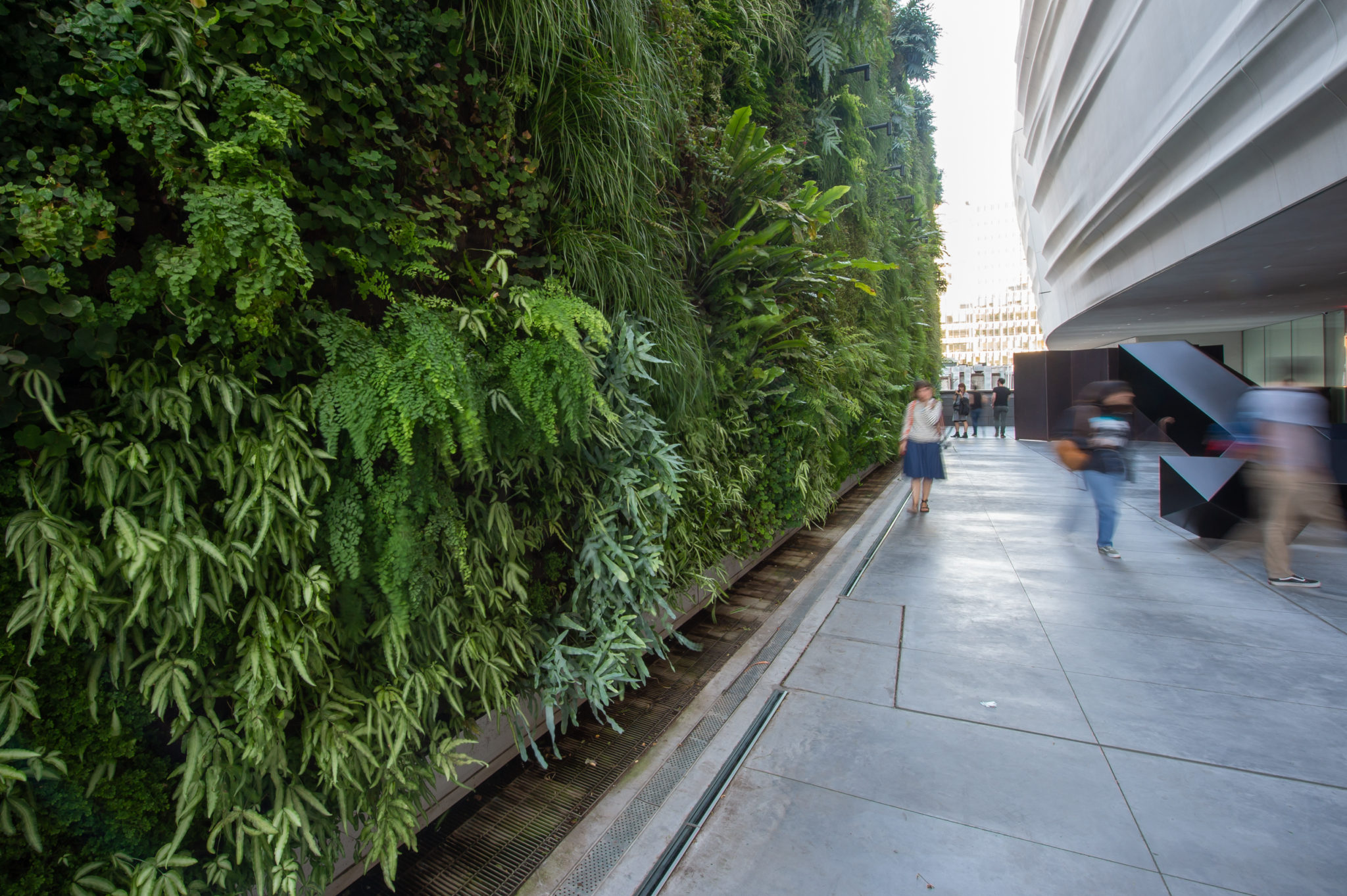 About SFMOMA