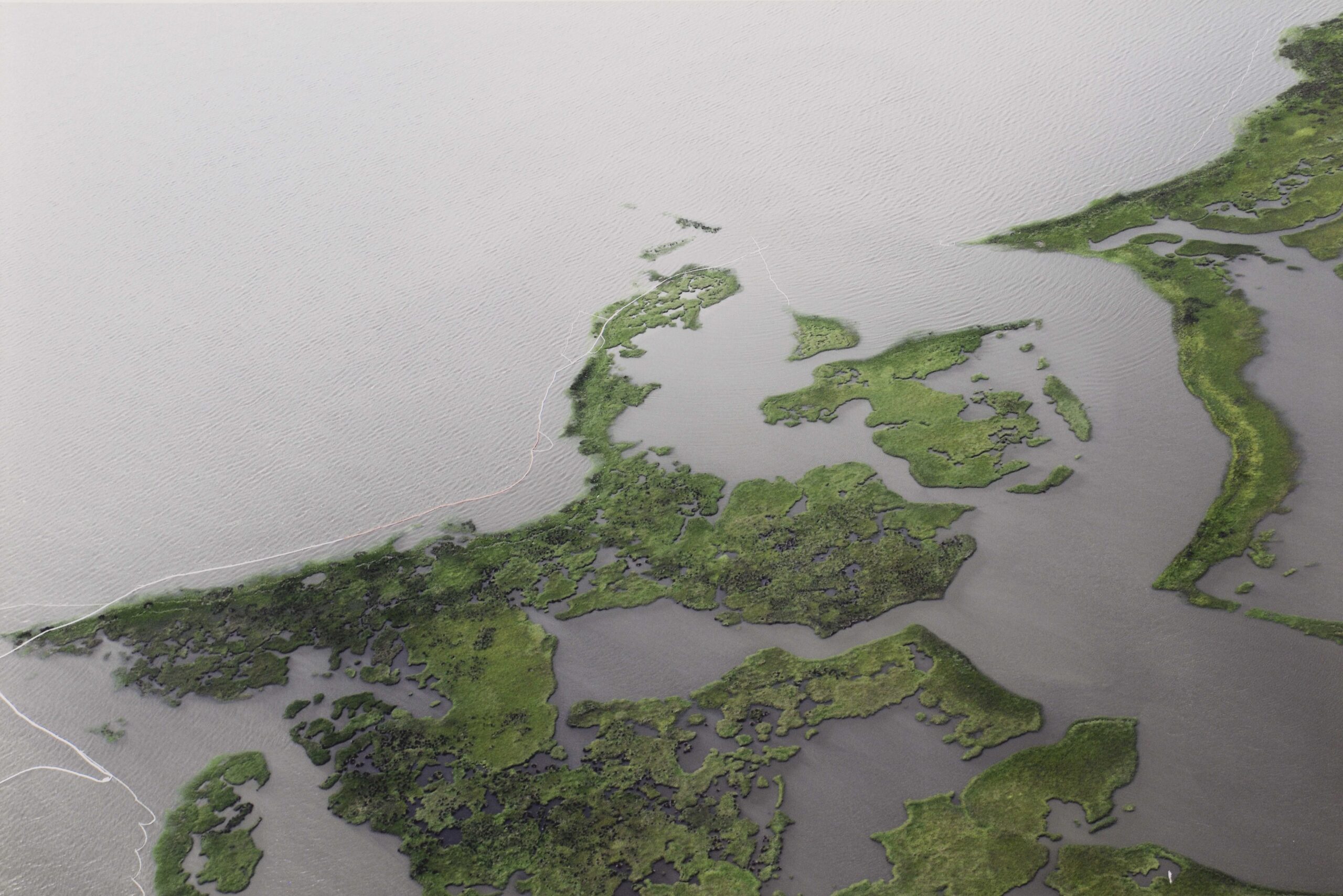 Sea Change: Photographs from the Collection · SFMOMA