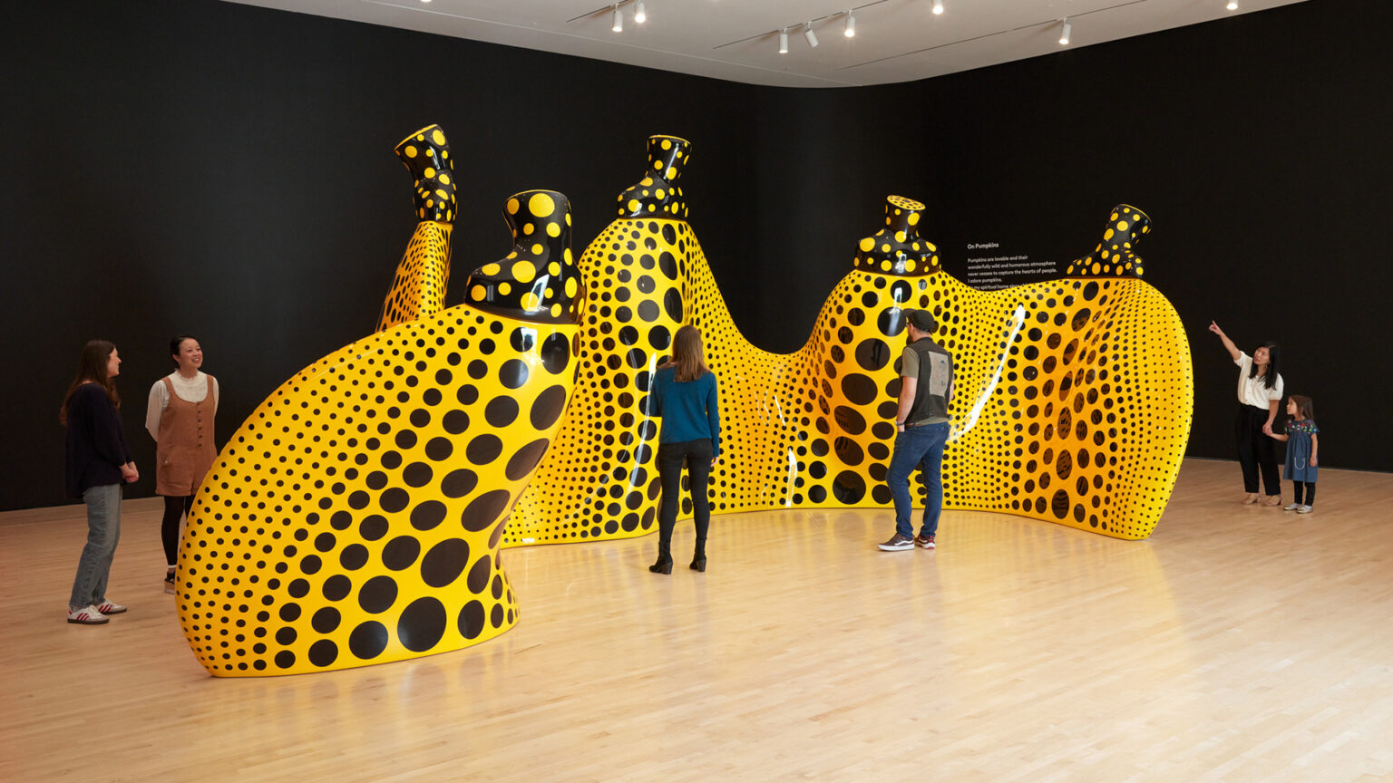 Yayoi Kusama: Infinite Love · SFMOMA
