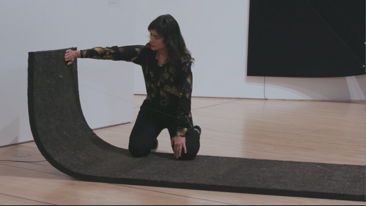 Artist Interviews · SFMOMA